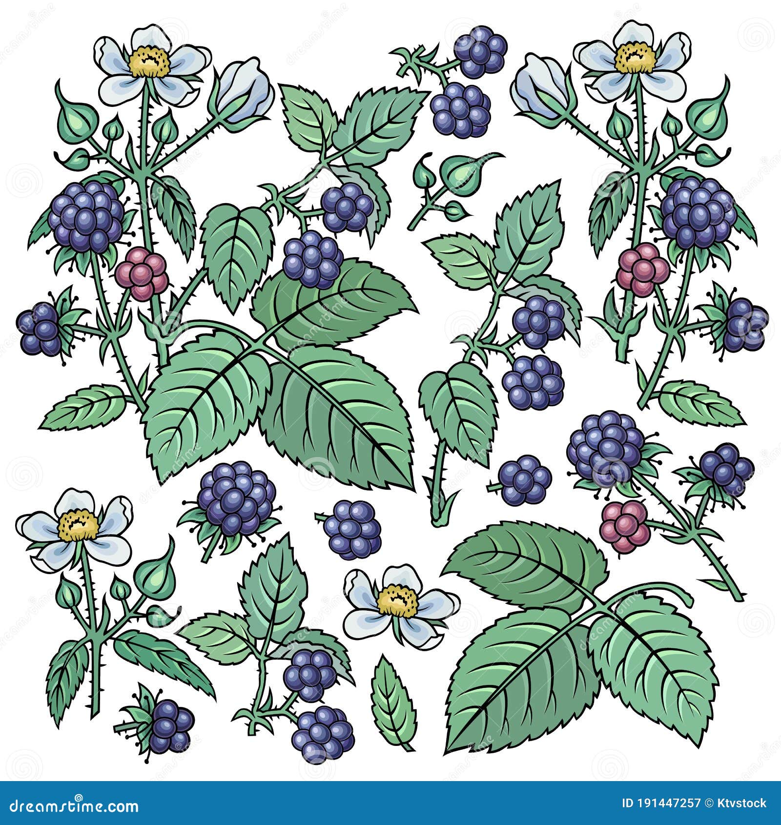 Hand Drawn Dewberry. Set of Objects Stock Vector - Illustration of ...