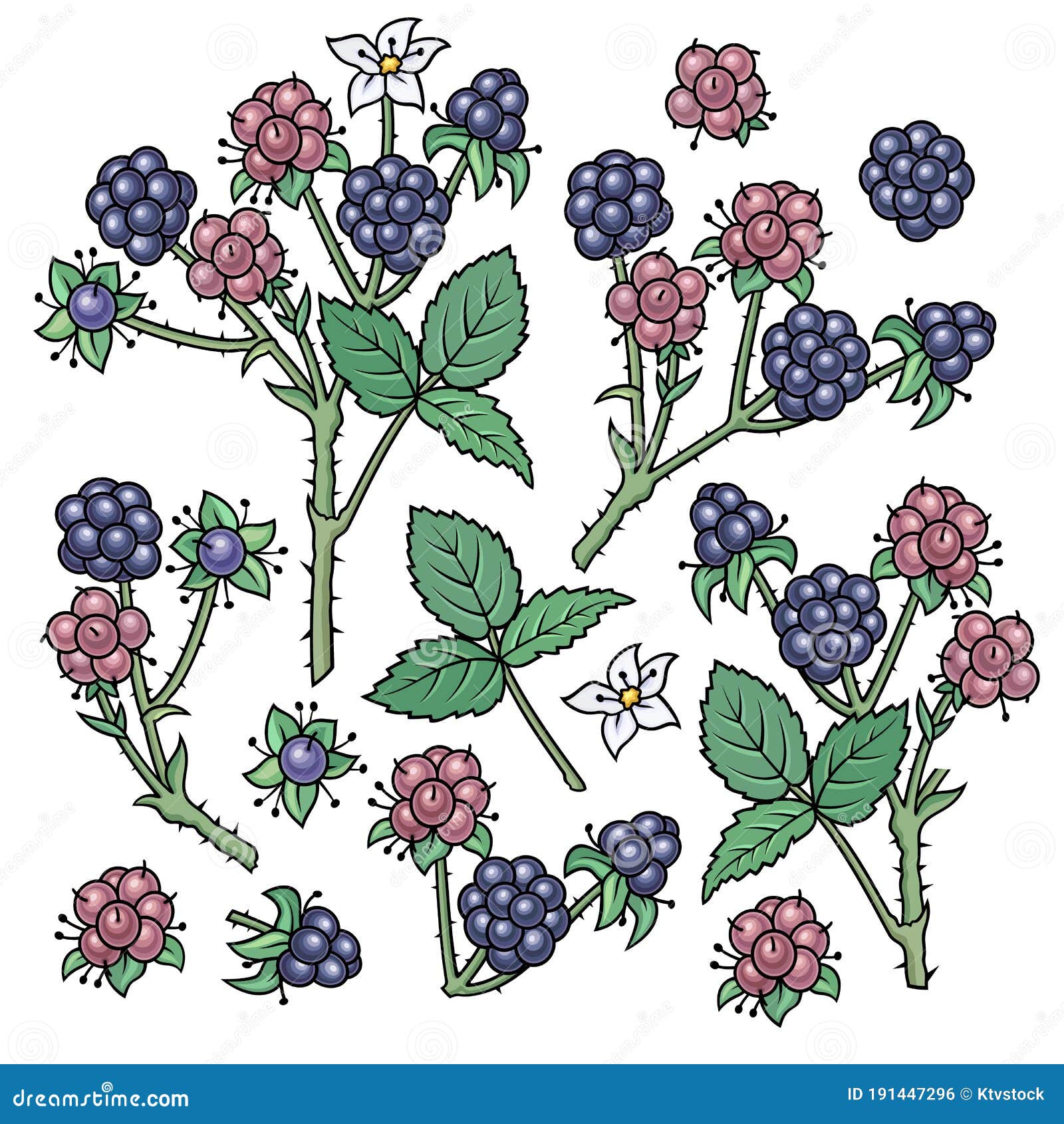 Hand Drawn Dewberry. Set of Objects Stock Vector - Illustration of food ...