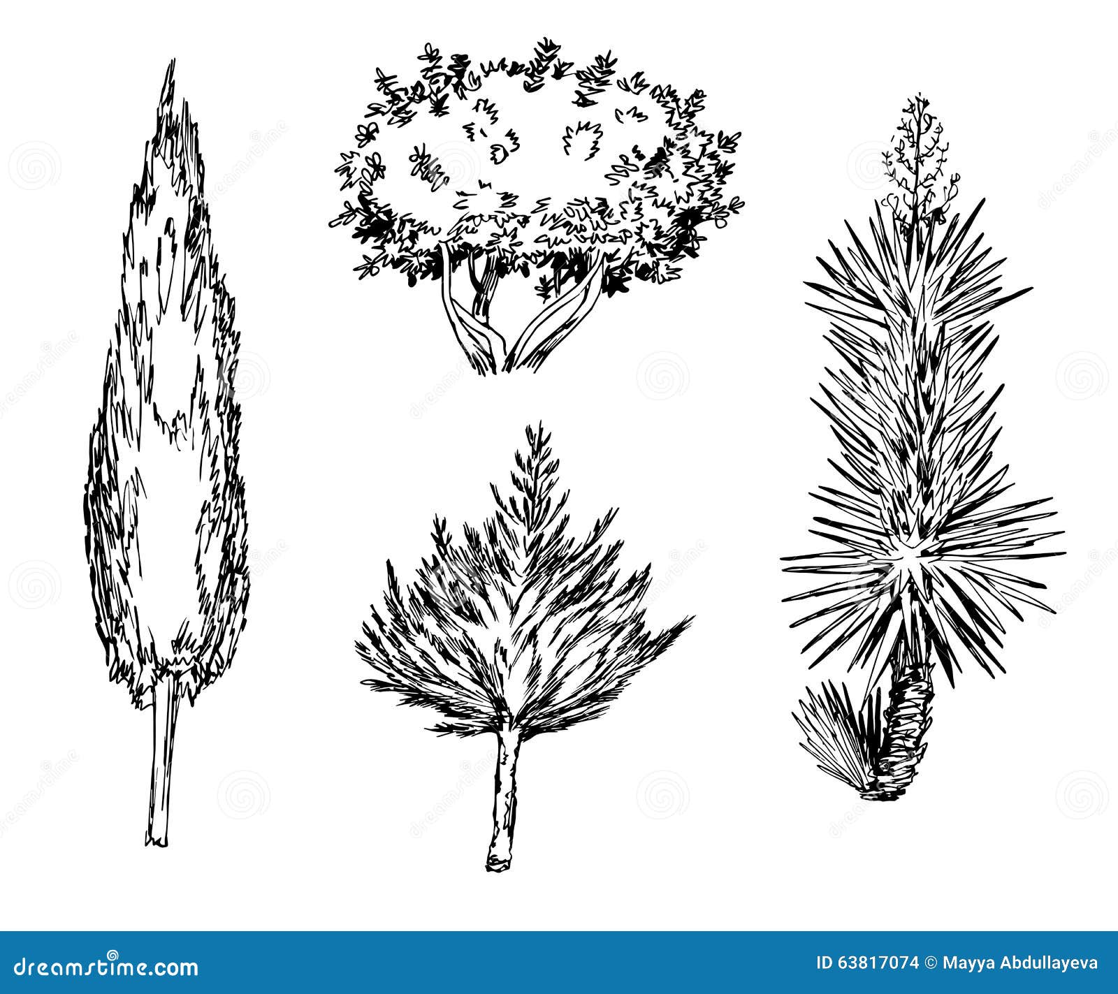 Hand Drawn Different Types Of Tree Vector Illustration | CartoonDealer ... Hand Drawn Different Types Of Tree Vector Illustration | CartoonDealer ...