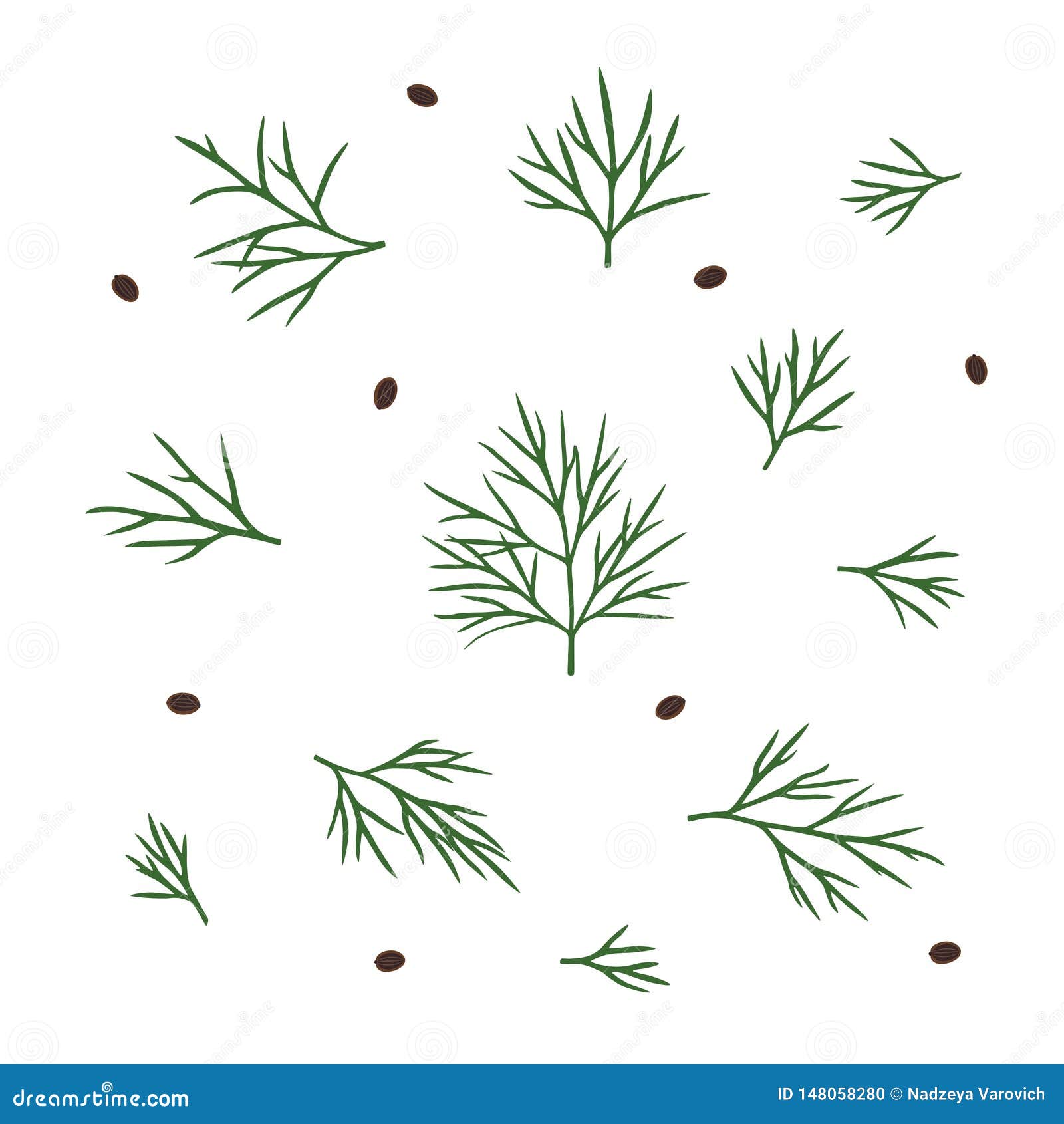 Hand Drawn Dill Isolated. Template for Your Design Works Stock Vector ...