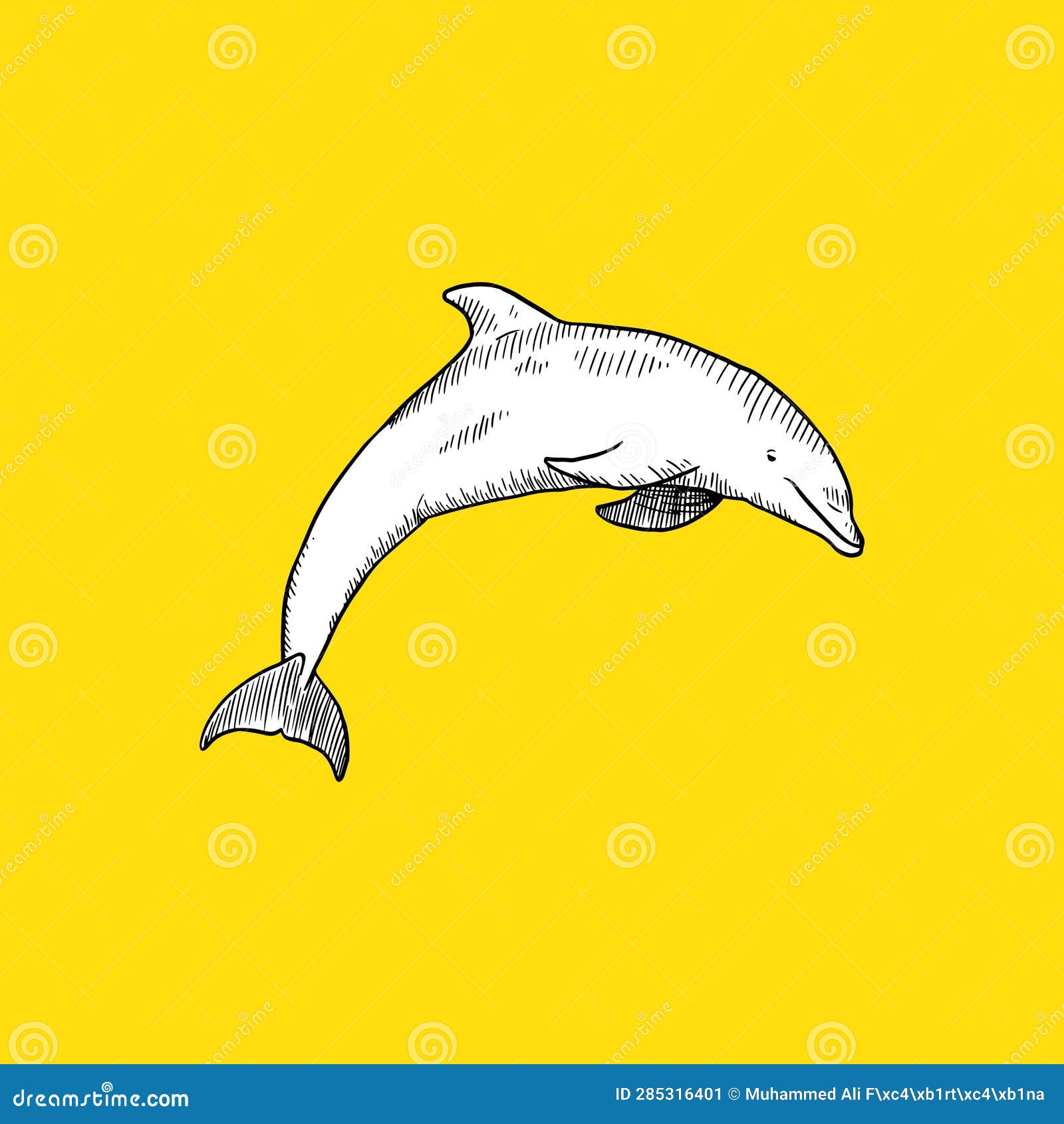 Hand Drawn Dolphin. Vector Illustration Stock Vector - Illustration of ...