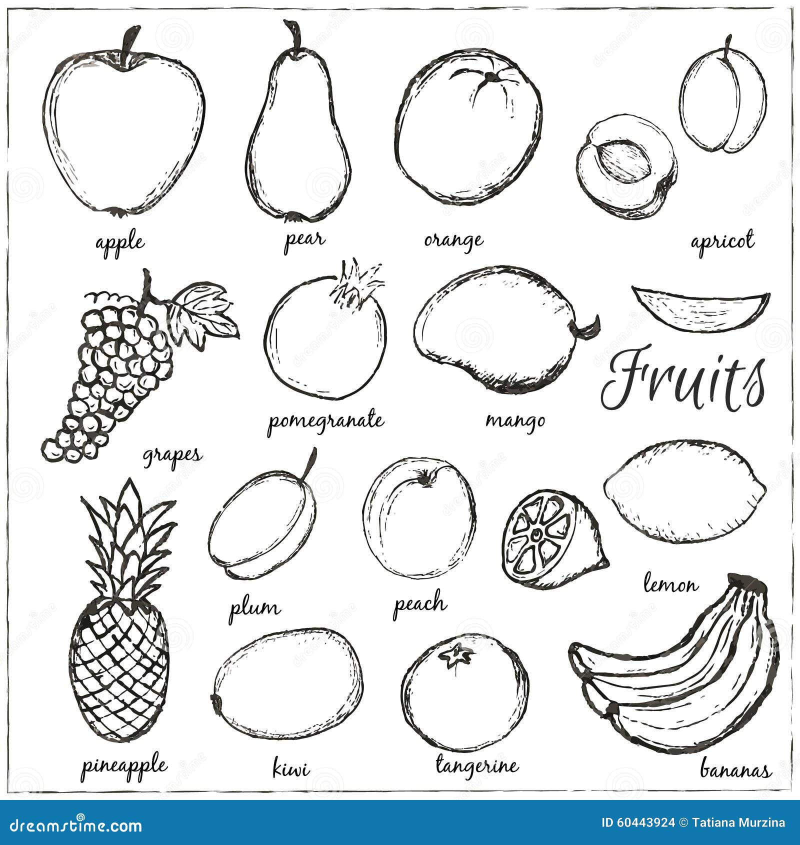Hand Drawn Doodle Fruits with Name. Stock Vector - Illustration of ... Hand Drawn Doodle Fruits with Name. Stock Vector - Illustration of ...