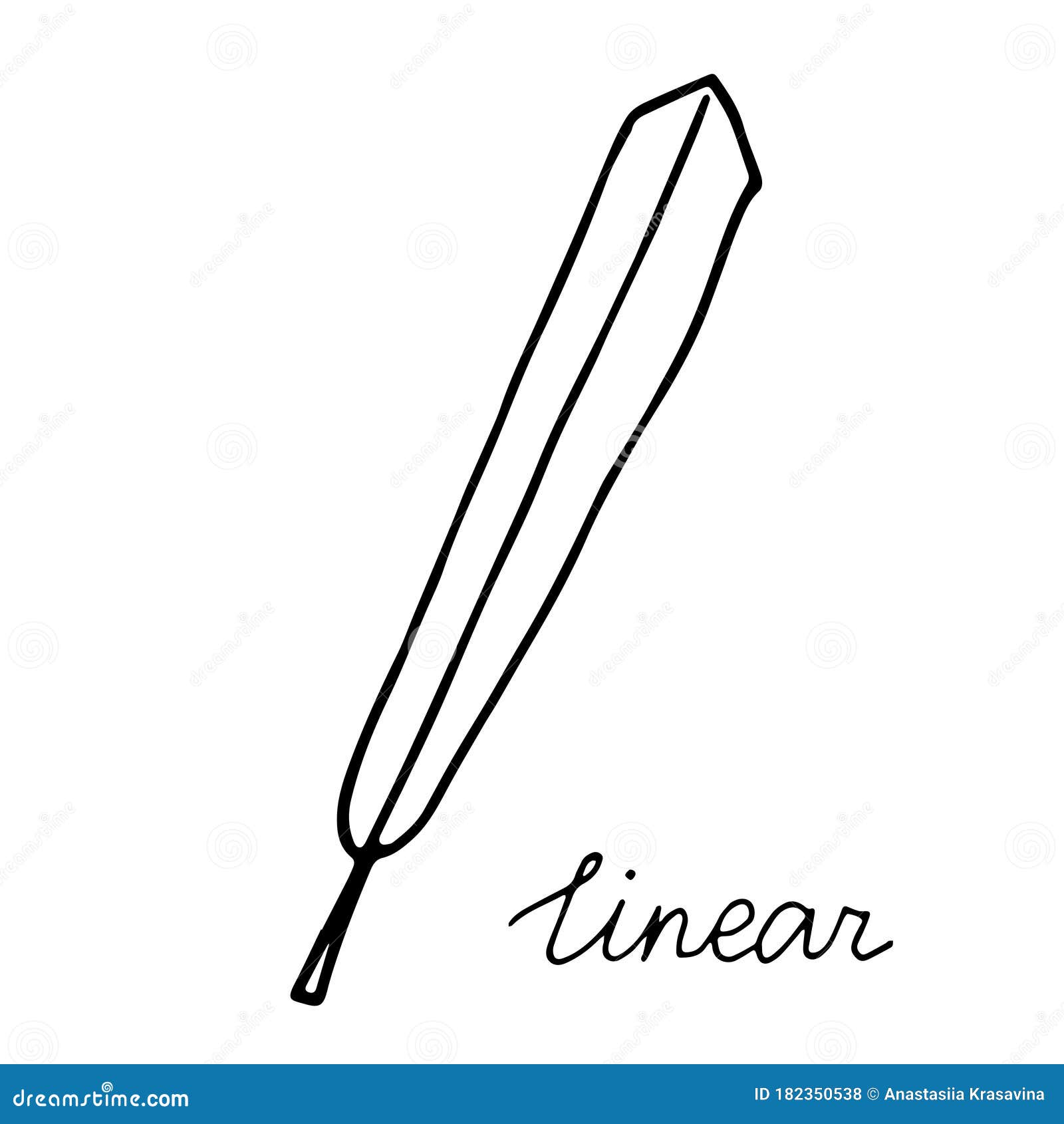 Hand Drawn Doodle Leaf Black Shape With Different Forms Linear Leaf Vector Illustration