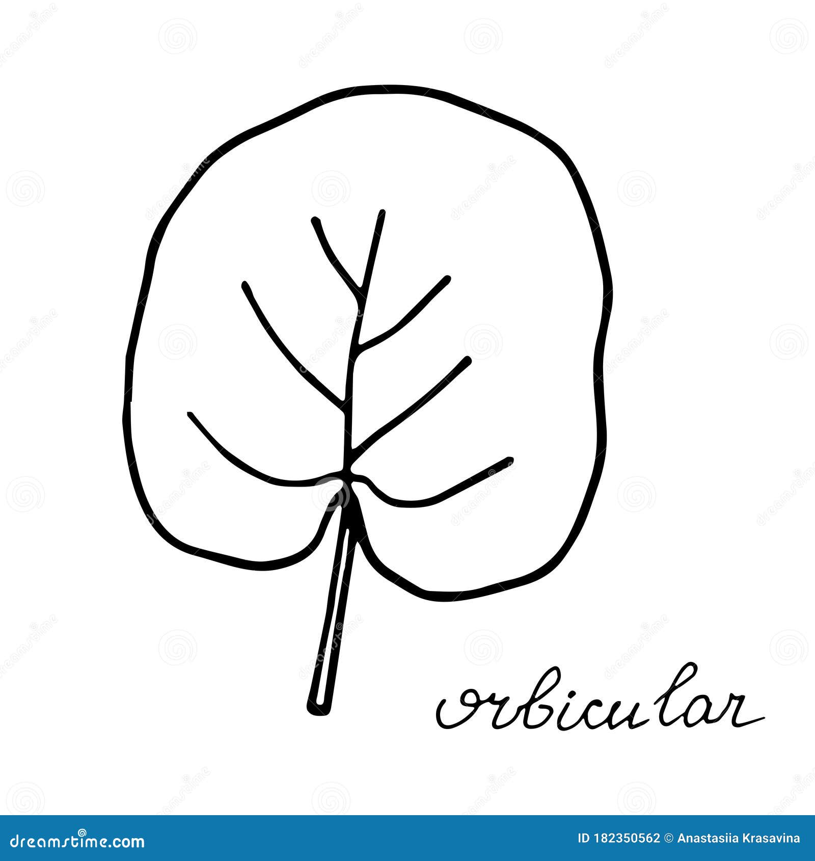 Hand Drawn Doodle Leaf. Black Shape With Different Forms. Orbicular ...