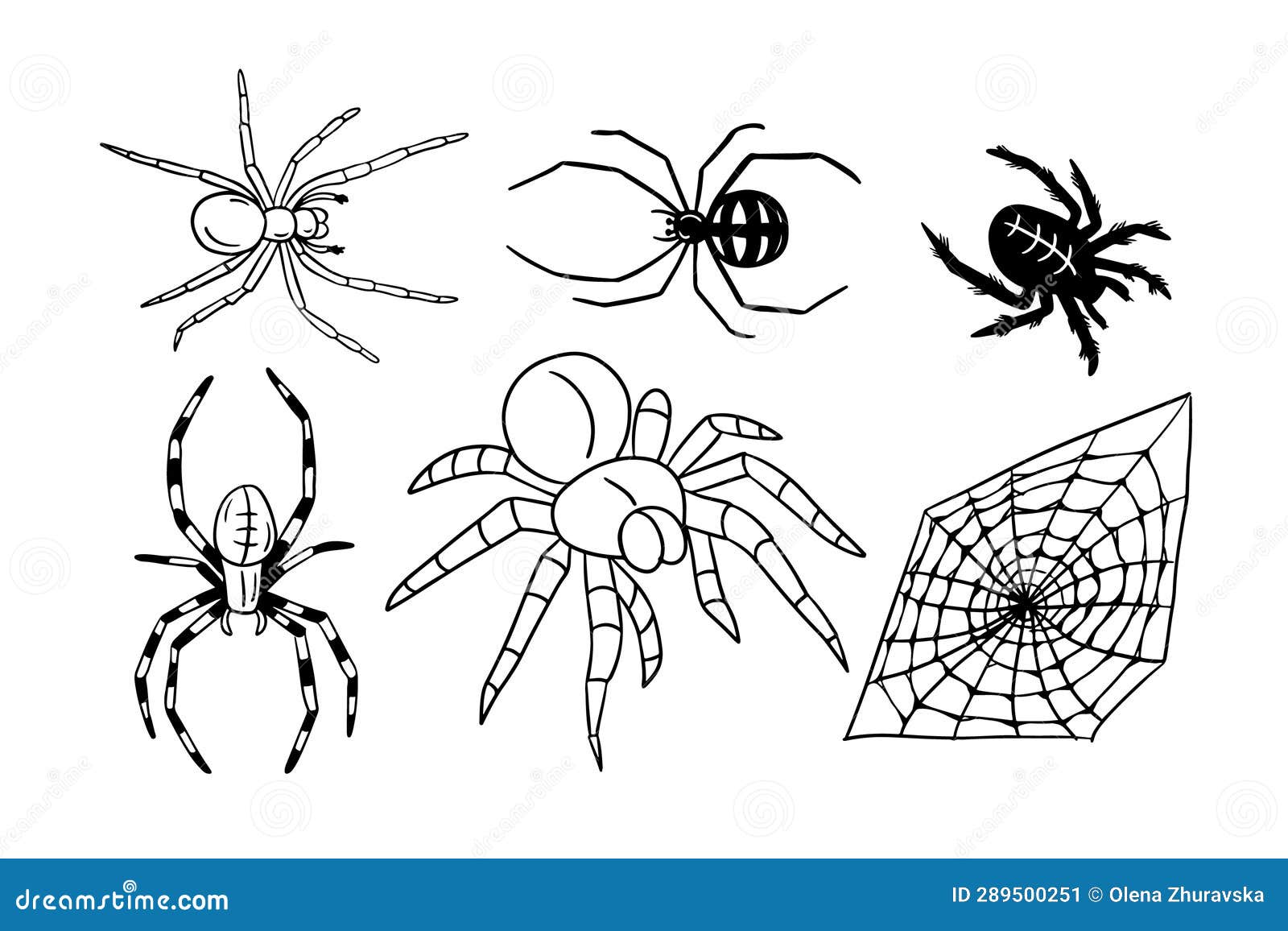 Hand Drawn Doodle Set of Different Type of Spiders Stock Vector ...