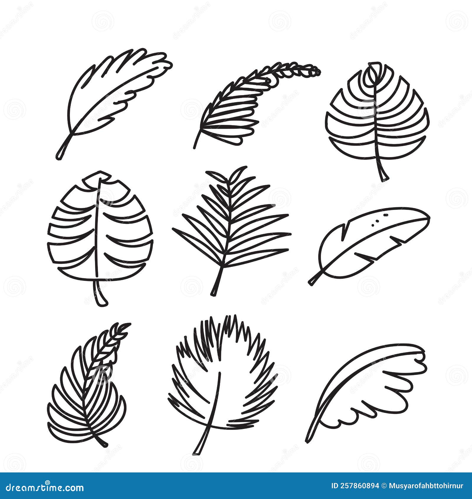 Hand Drawn Doodle Tropical Leaves Illustration Vector Stock Vector ...