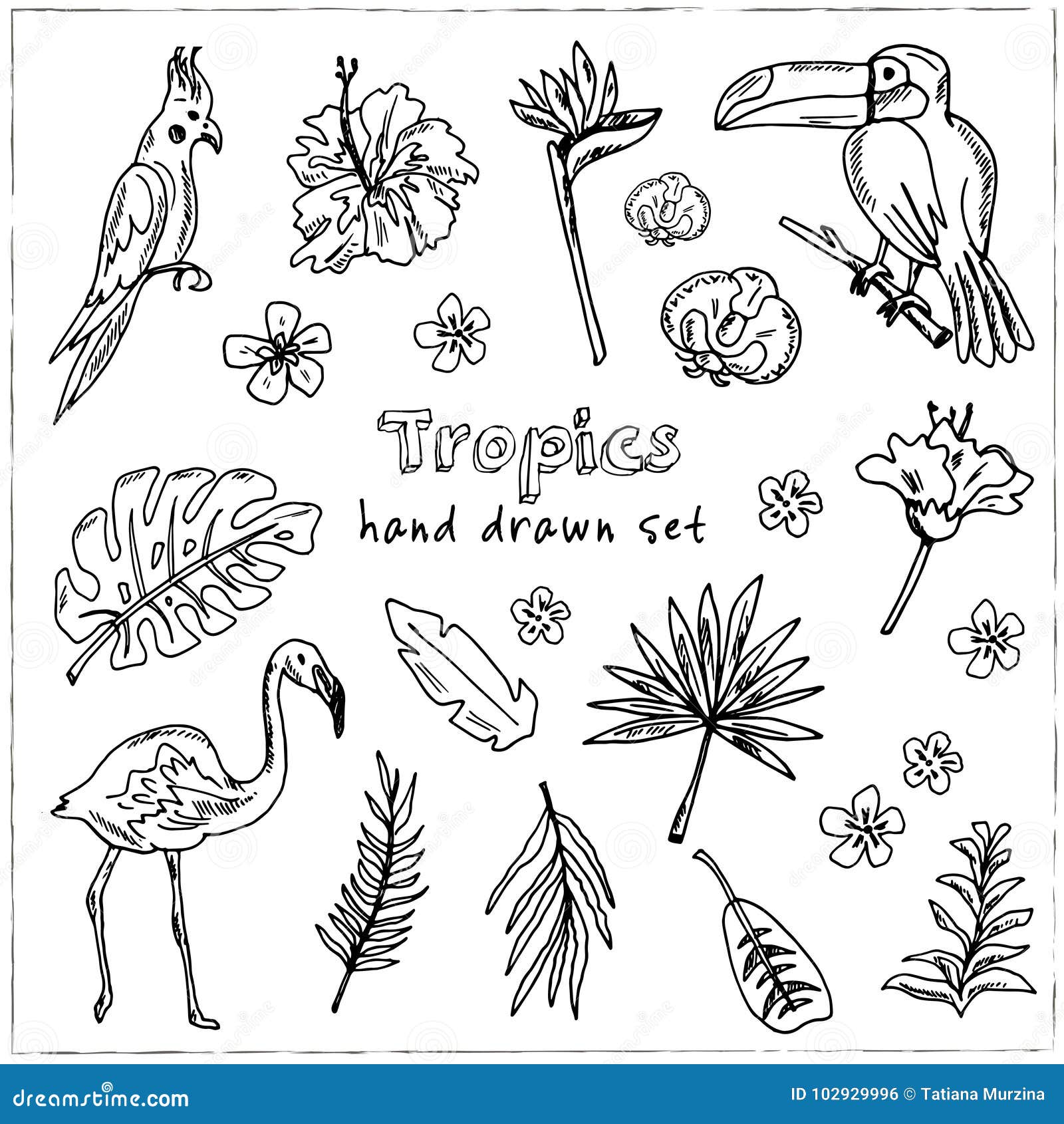 Hand Drawn Doodle Tropics Set Stock Vector - Illustration of doodle ...