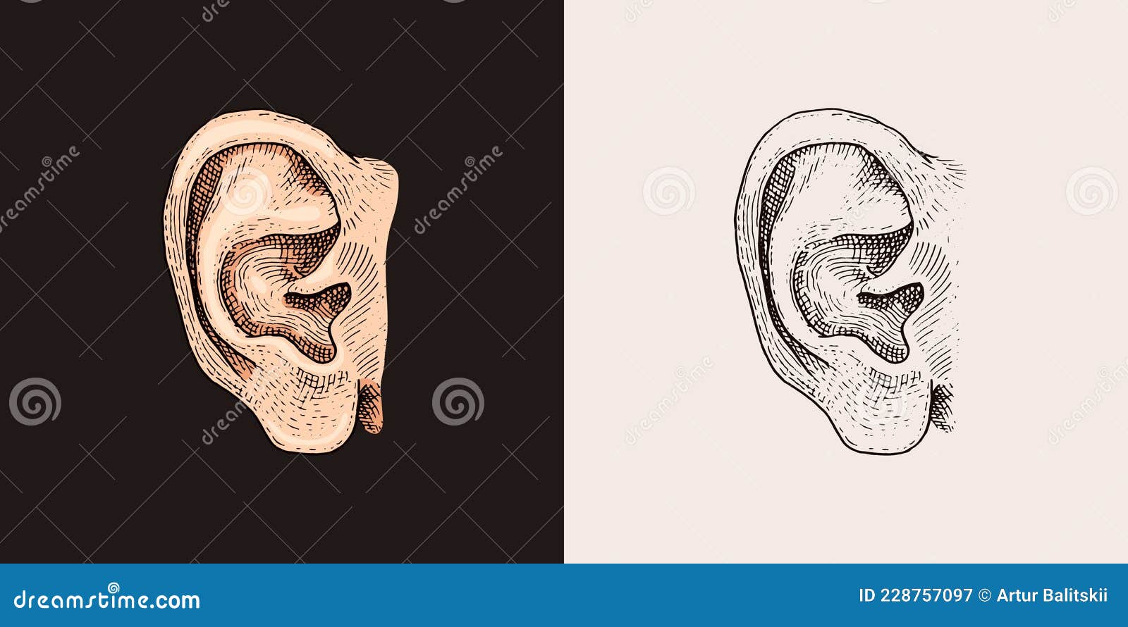 Hand Drawn Ear Sketch Symbol. Vector Listen Element in Trendy Style ...