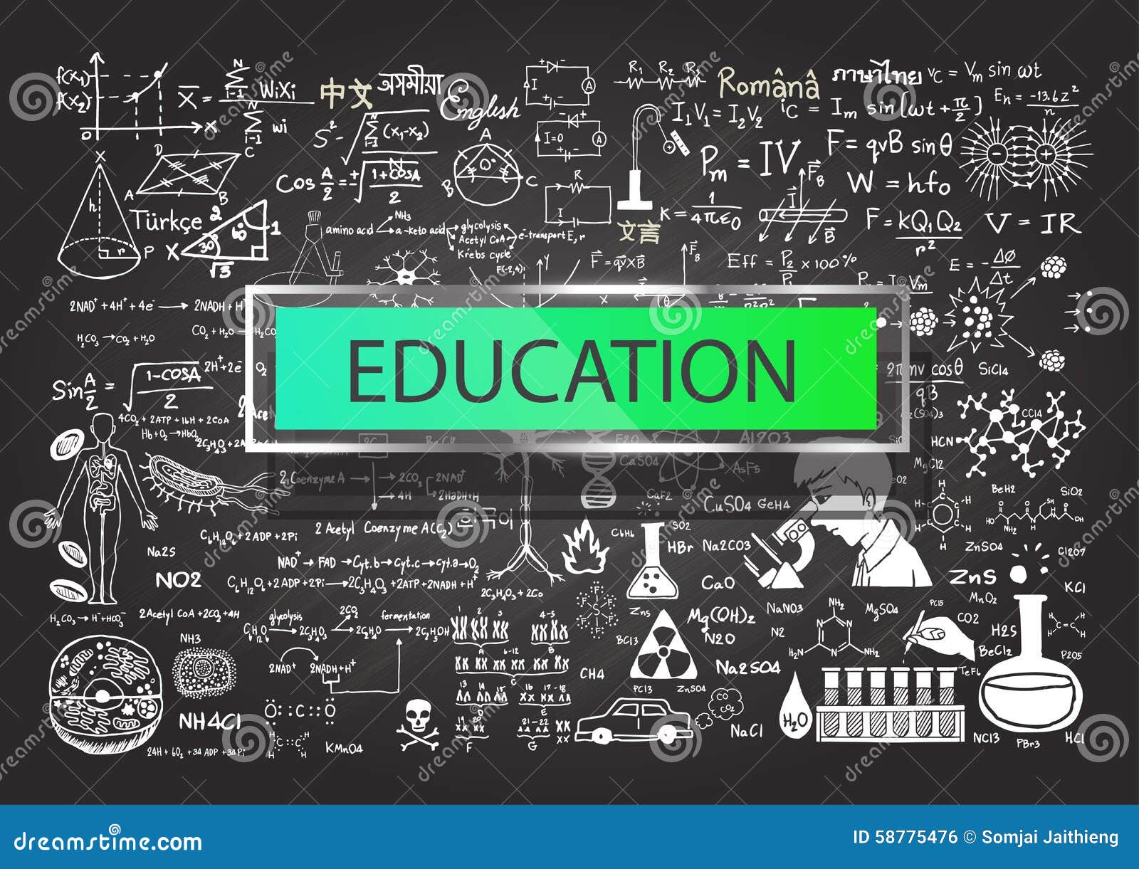Hand Drawn Education on Chalkboard Stock Vector - Illustration of hand ...