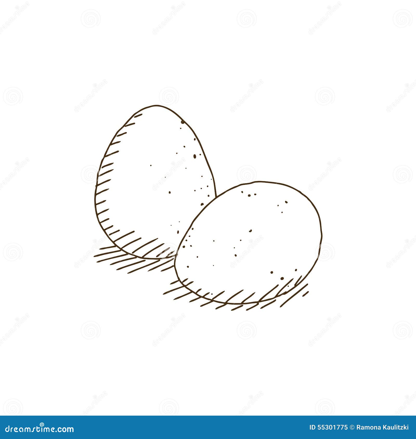 Hand Drawn Eggs stock illustration. Illustration of drawn - 55301775