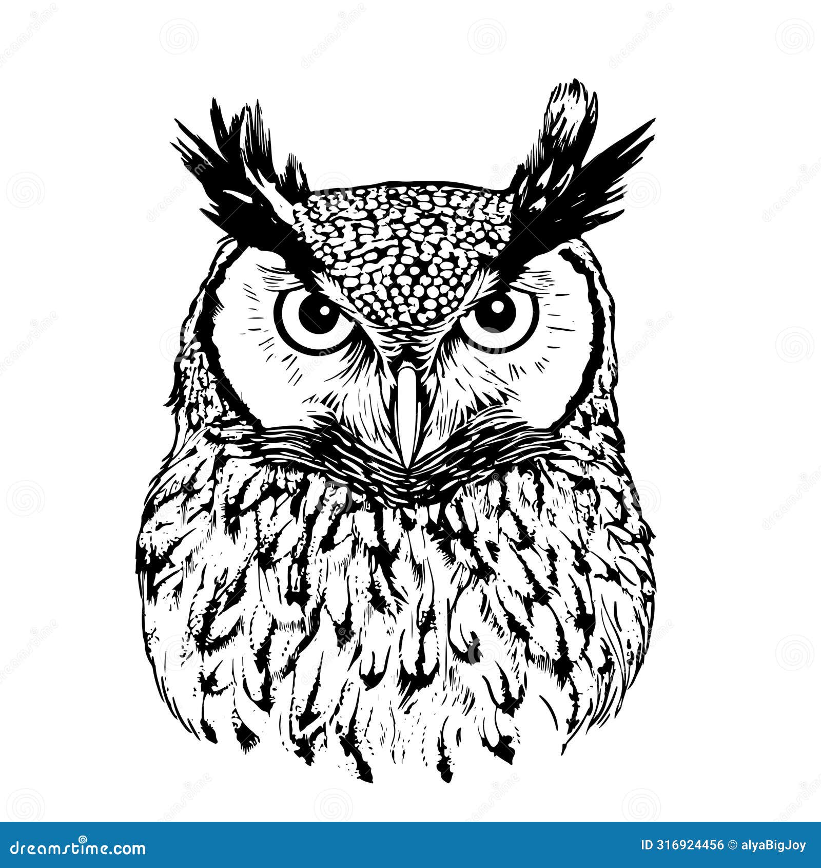 Hand Drawn Engraving Pen and Ink Owl Vector Illustration Stock Vector ...