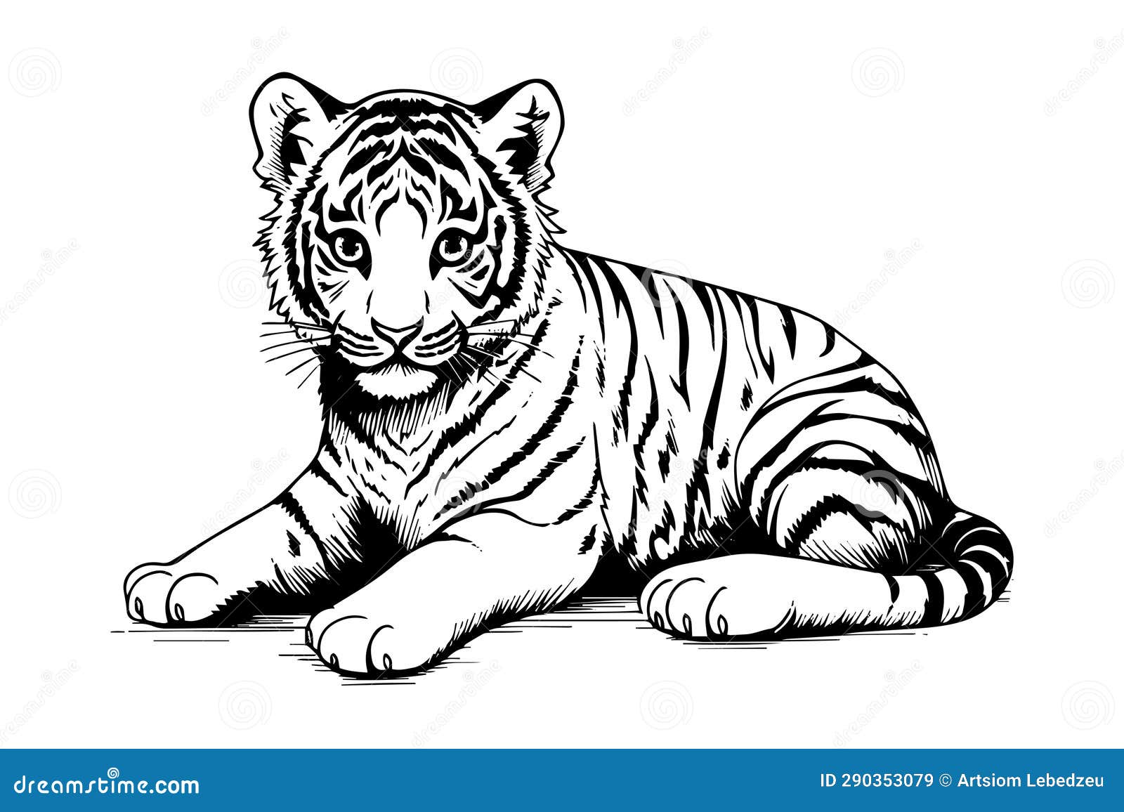 Hand Drawn Engraving Style Sketch of a Tiger Cub, Vector Ink ...