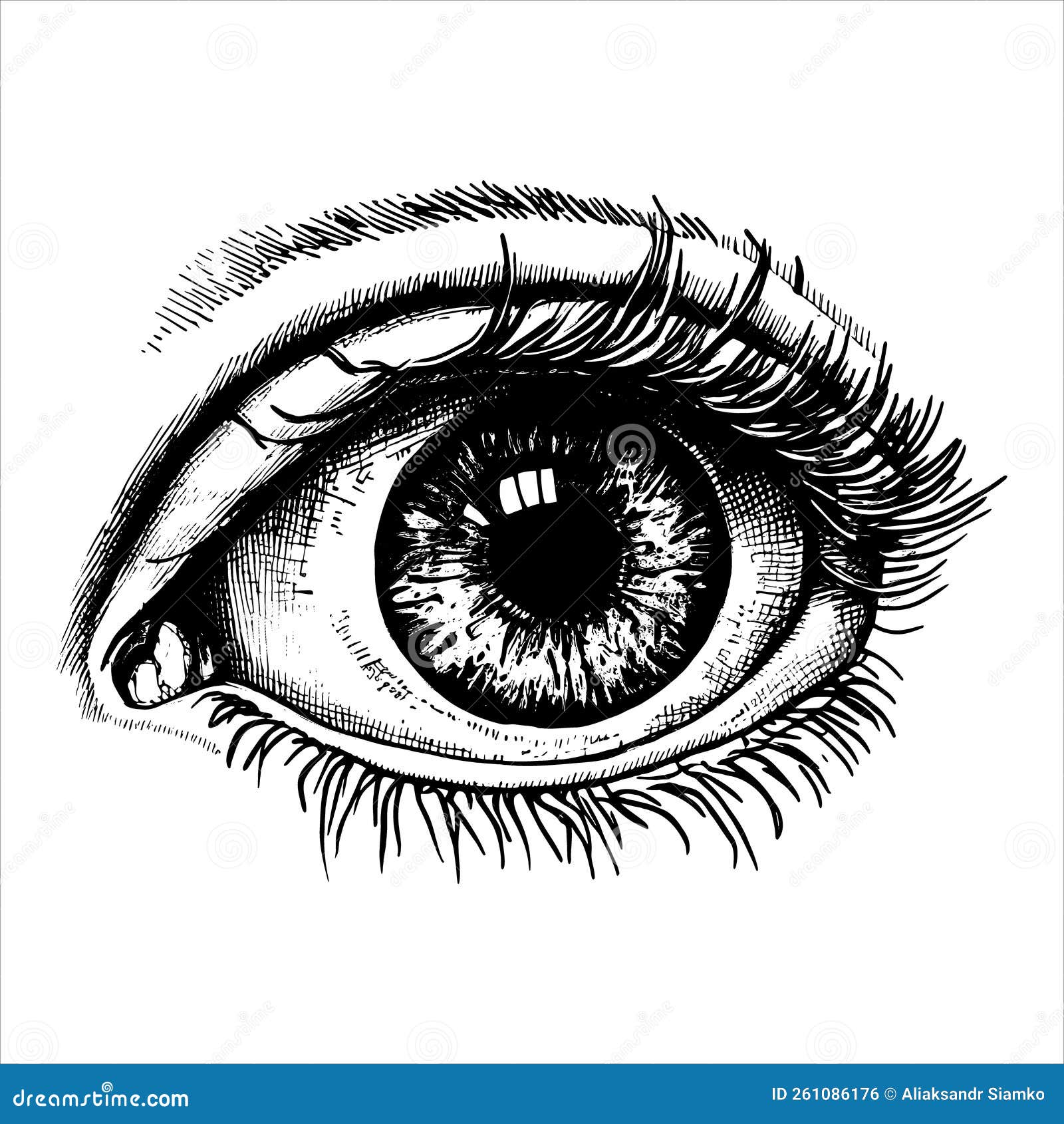Hand drawn eye stock vector. Illustration of eyelid - 261086176
