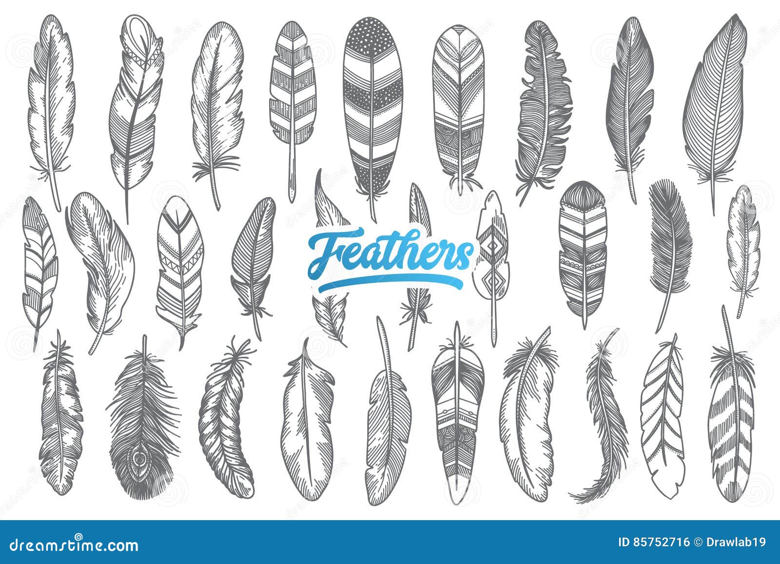 Bird Feather Lettering Stock Illustrations – 1,593 Bird Feather ...