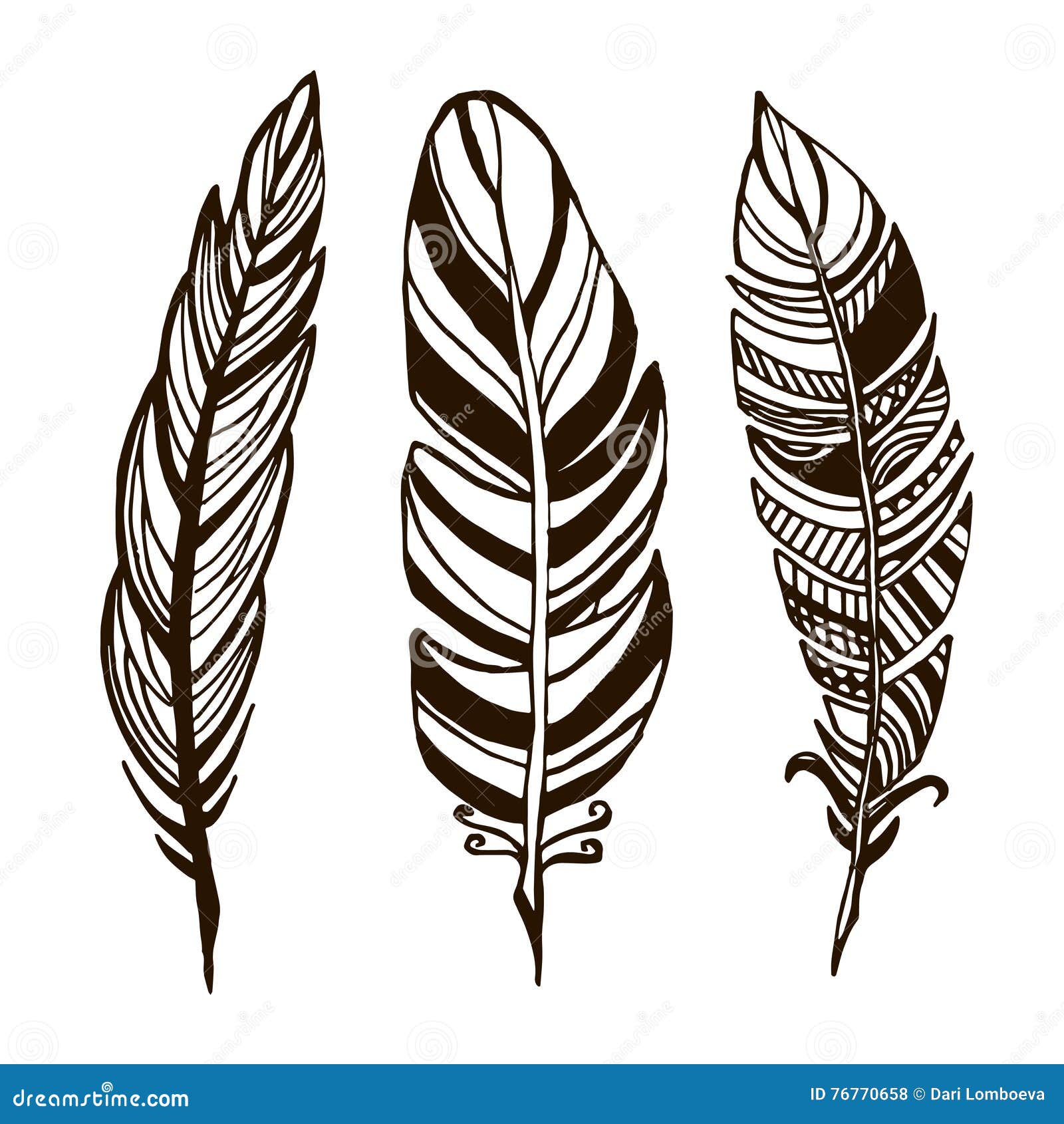 Hand Drawn Stylized Feathers Vector Collection. Set Of Doodle Tribal ...