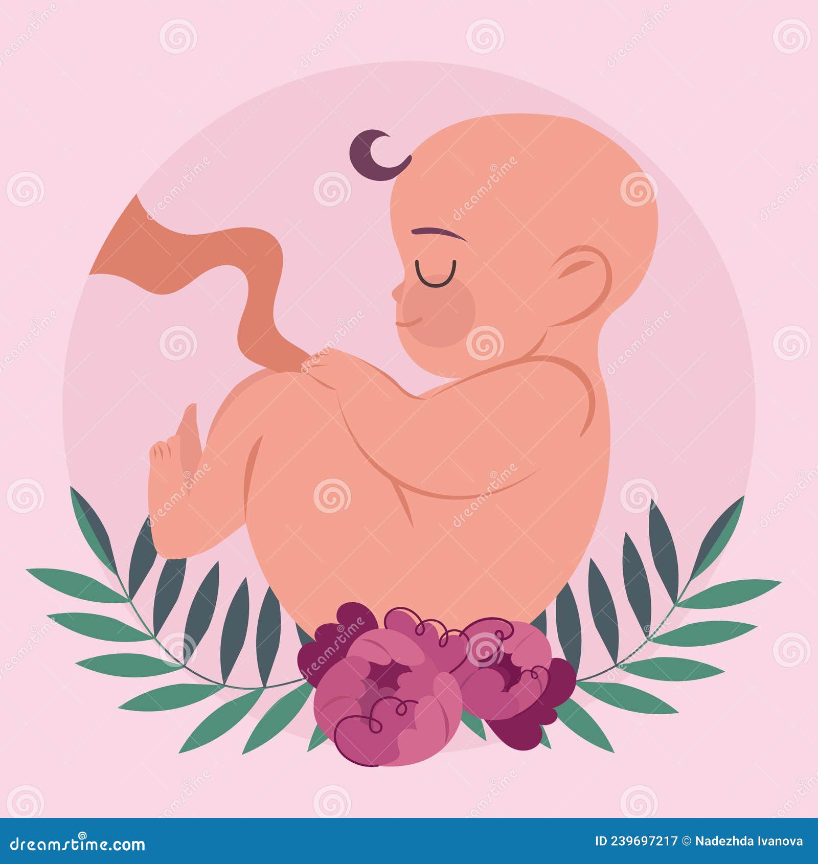 Hand Drawn Fetus Illustration Vector Illustration. Stock Vector ...