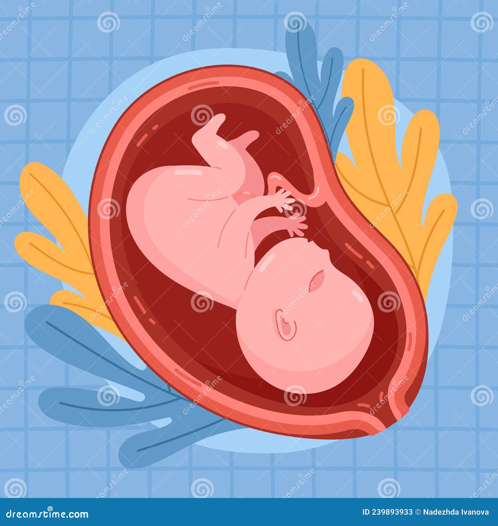 Hand Drawn Fetus Illustration Vector Illustration. Stock Vector ...