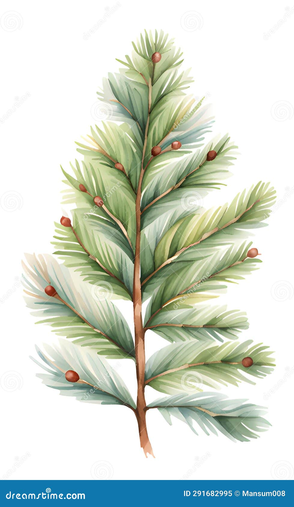 Hand Drawn Fir Tree Branches Stock Illustration - Illustration of merry ...