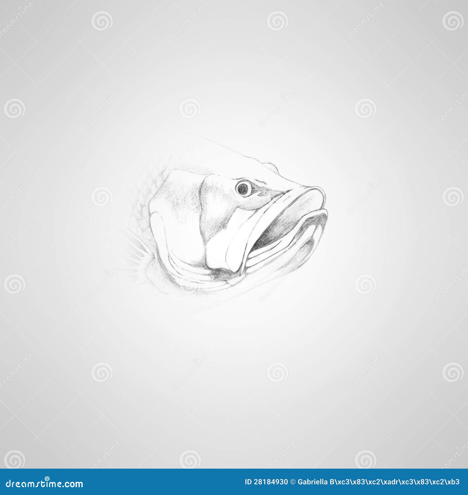 Hand drawn fish stock illustration. Illustration of freehand - 28184930