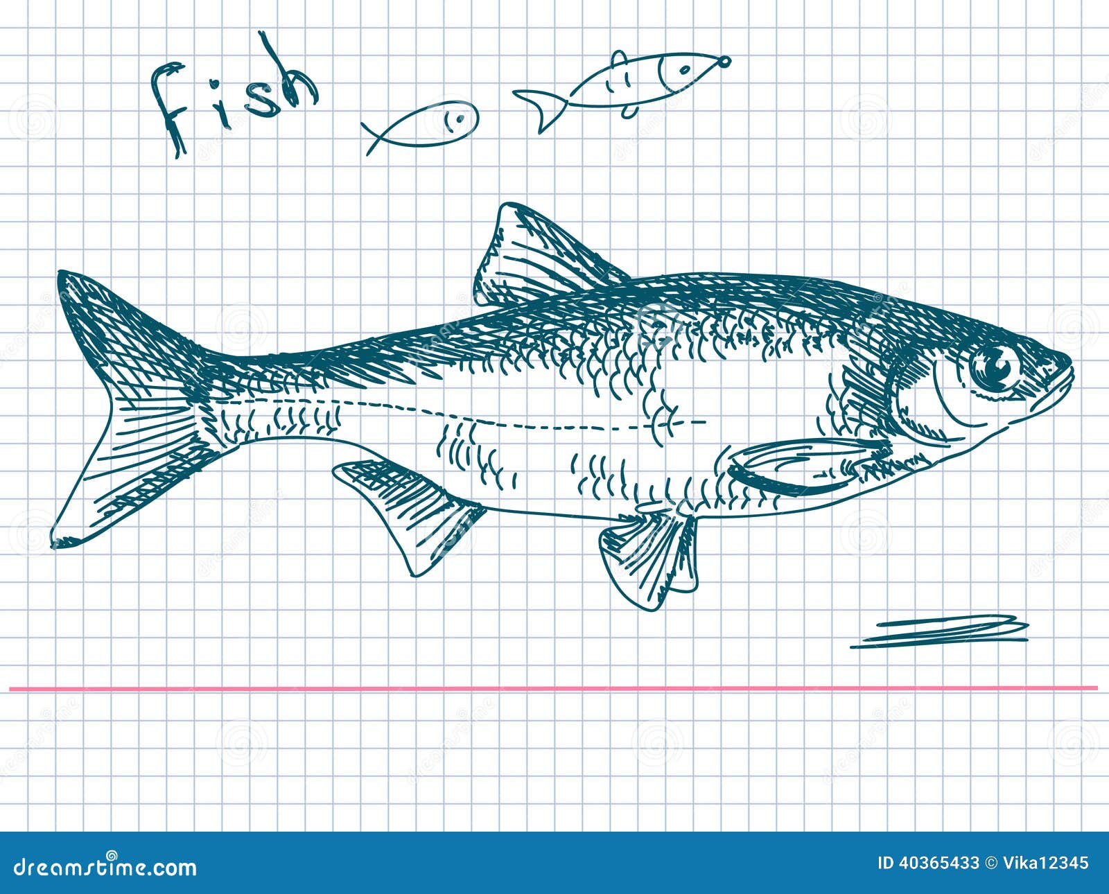 Hand drawn fish stock vector. Illustration of drawn, river - 40365433