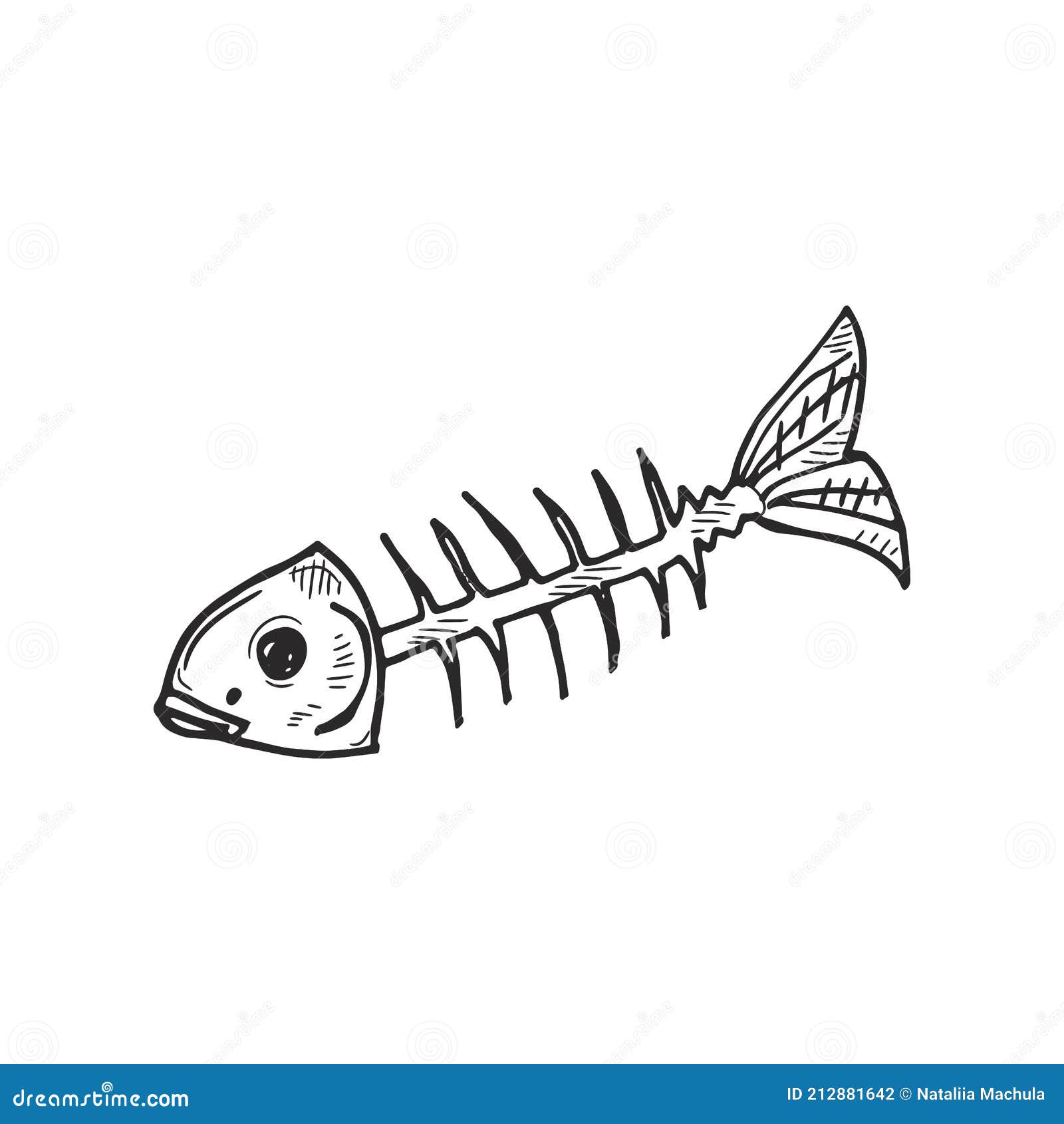 Hand drawn fish skeleton stock vector. Illustration of design - 212881642