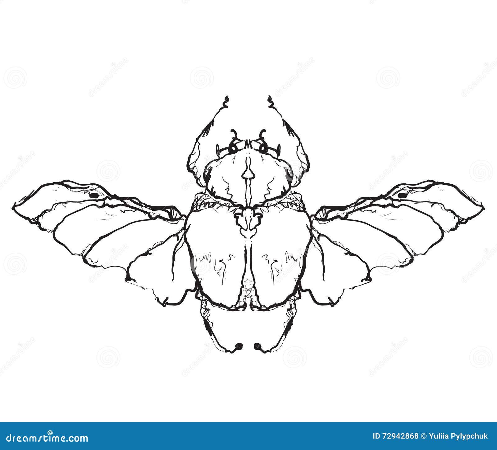 Hand drawn flies insect stock vector. Illustration of wing - 72942868
