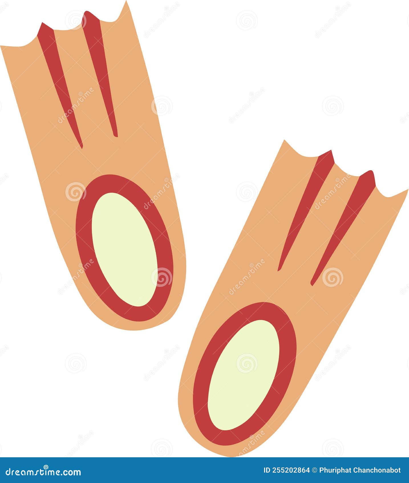 Hand Drawn Flippers Illustration Stock Vector - Illustration of ...