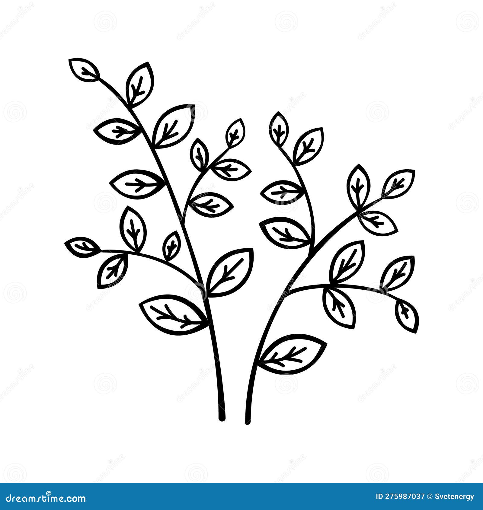 Hand Drawn Flower And Branches Doodle Vector Illustration Stock Vector