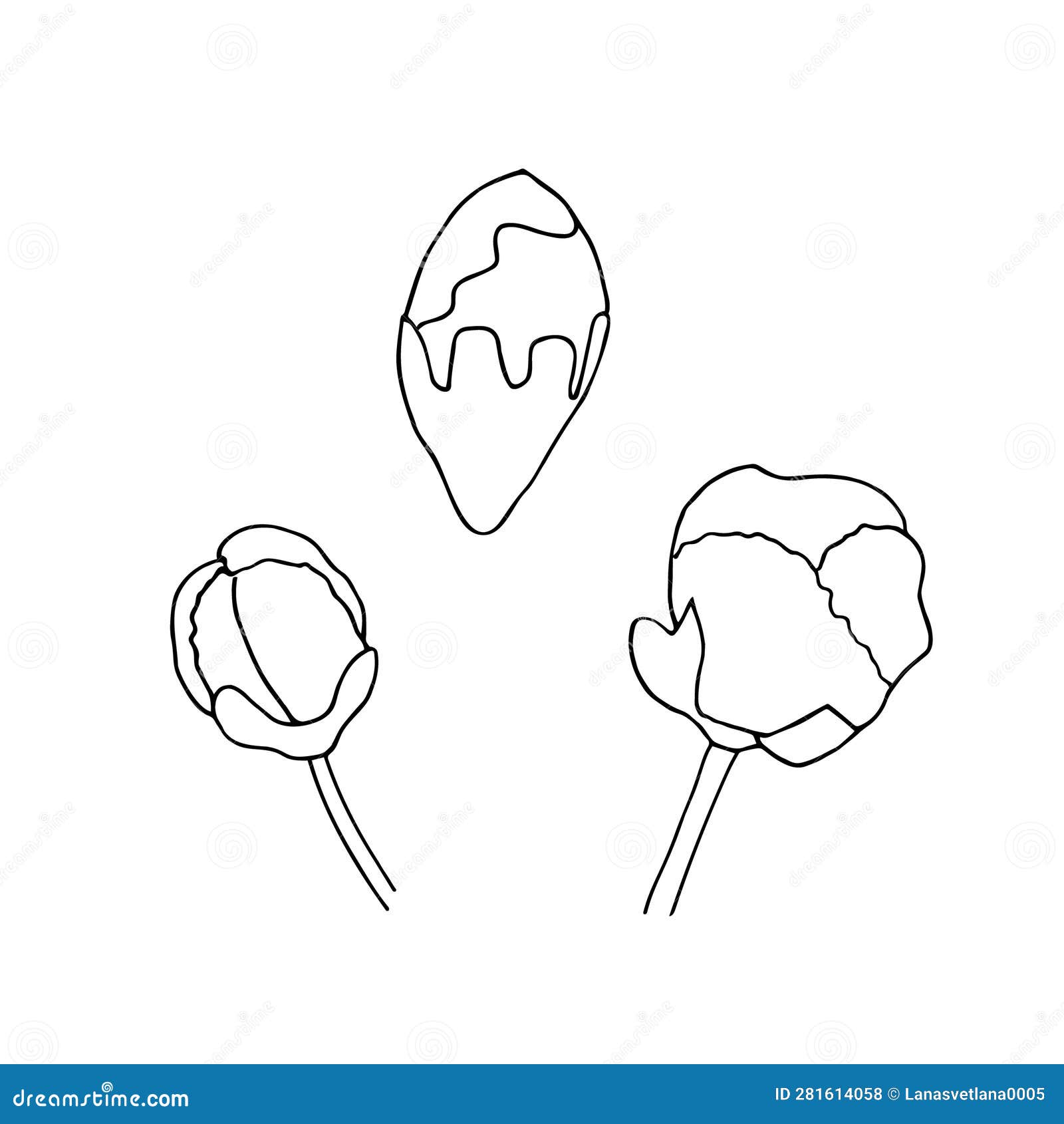 Hand Drawn Flower Buds. Line Art Stock Vector - Illustration of symbol ...