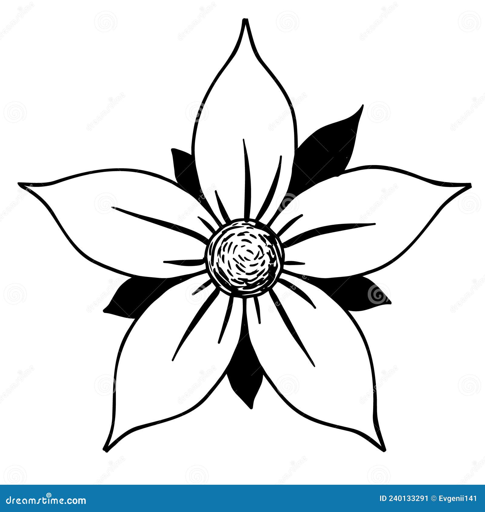 Hand Drawn Flower Icon in Strokes Isolated on White Background Stock ...
