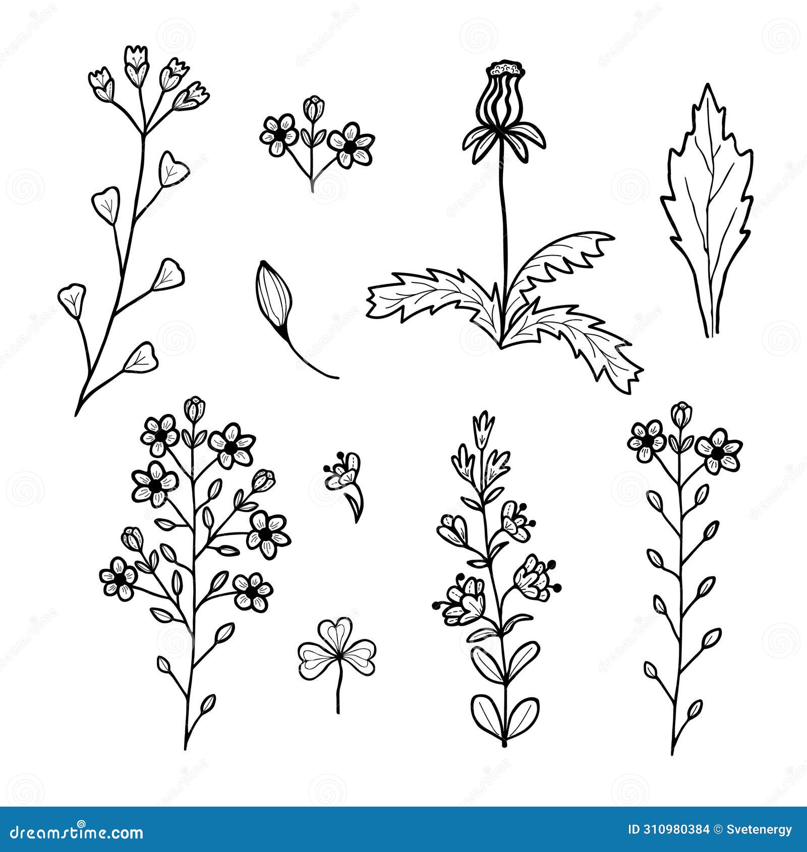Hand Drawn Flowers And Branches Doodle Vector Illustration Stock