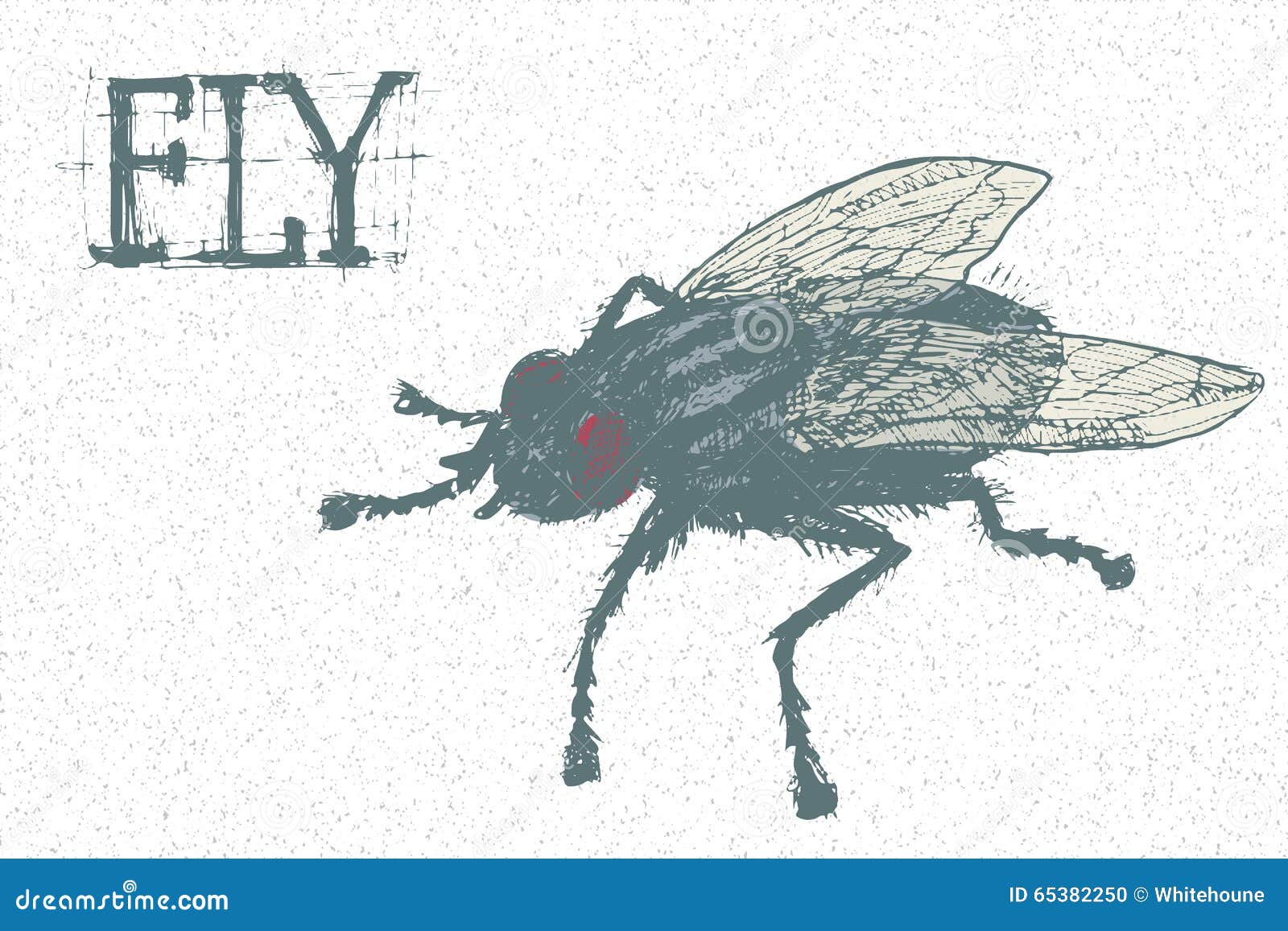 Huge Fly Stock Illustrations – 1,050 Huge Fly Stock Illustrations ...