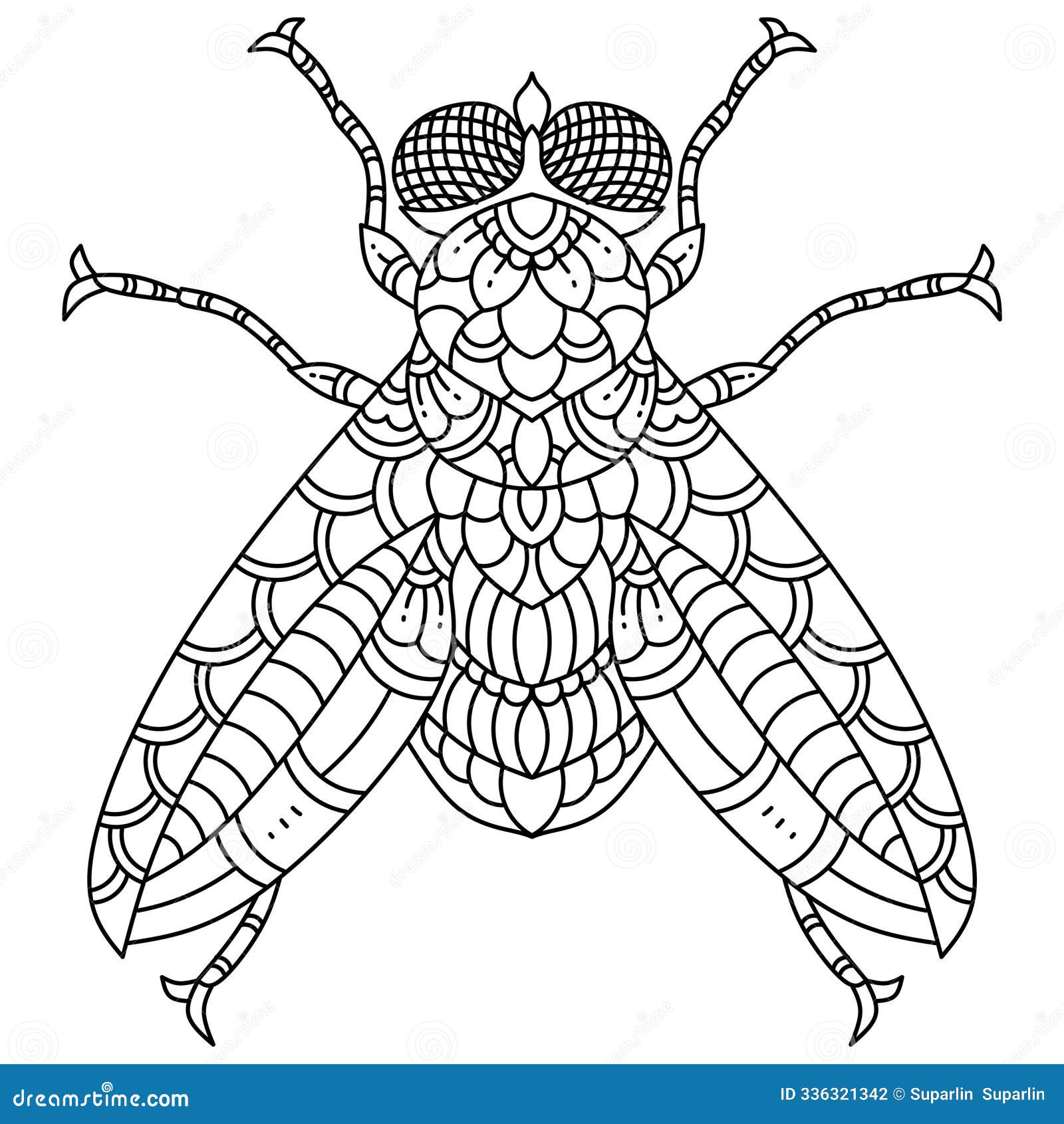 Hand Drawn of Fly in Zentangle Style Stock Vector - Illustration of ...