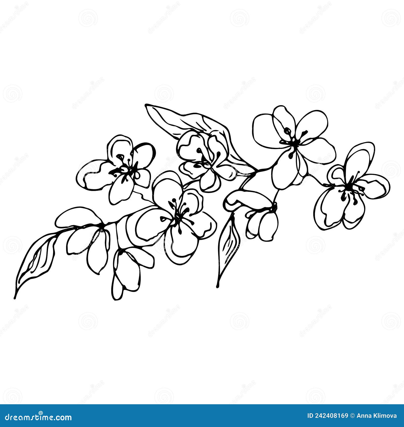 Hand Drawn Forest Flowers with Leaves on a White Background Isolated ...
