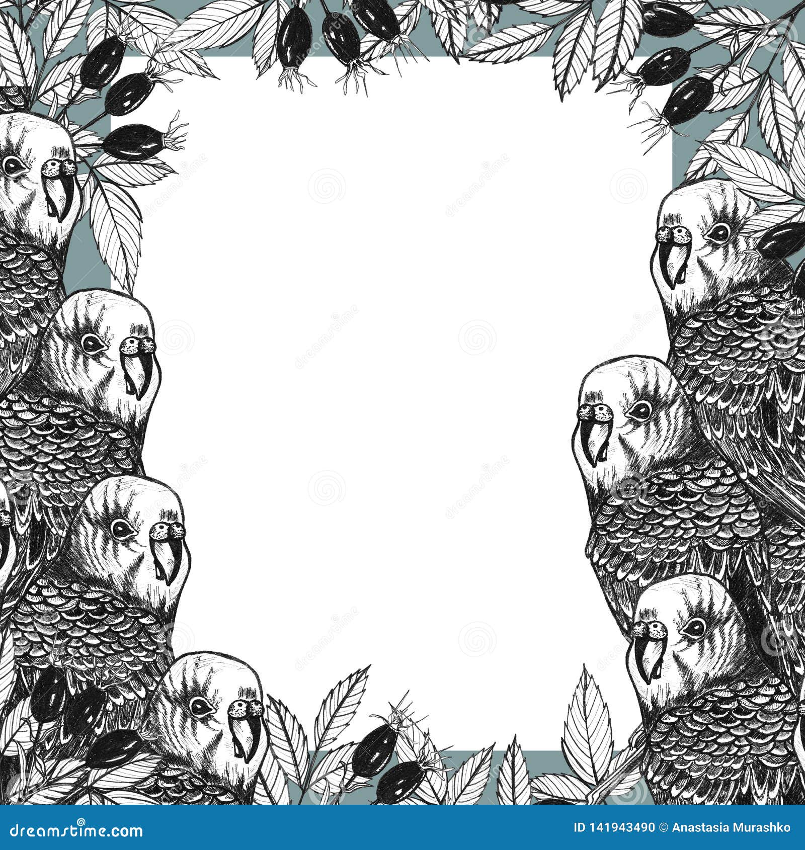 Hand Drawn Frame with Parrots and Dogrose Branches Stock Illustration ...
