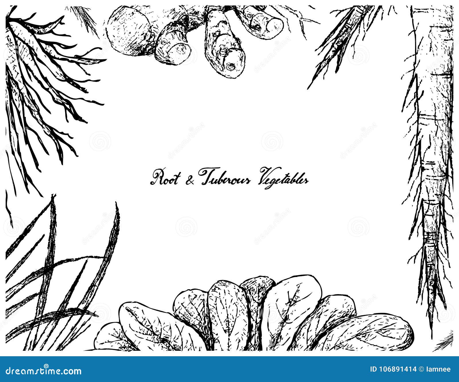 Hand Drawn Frame Of Root And Tuberous Vegetables Vector Illustration ...