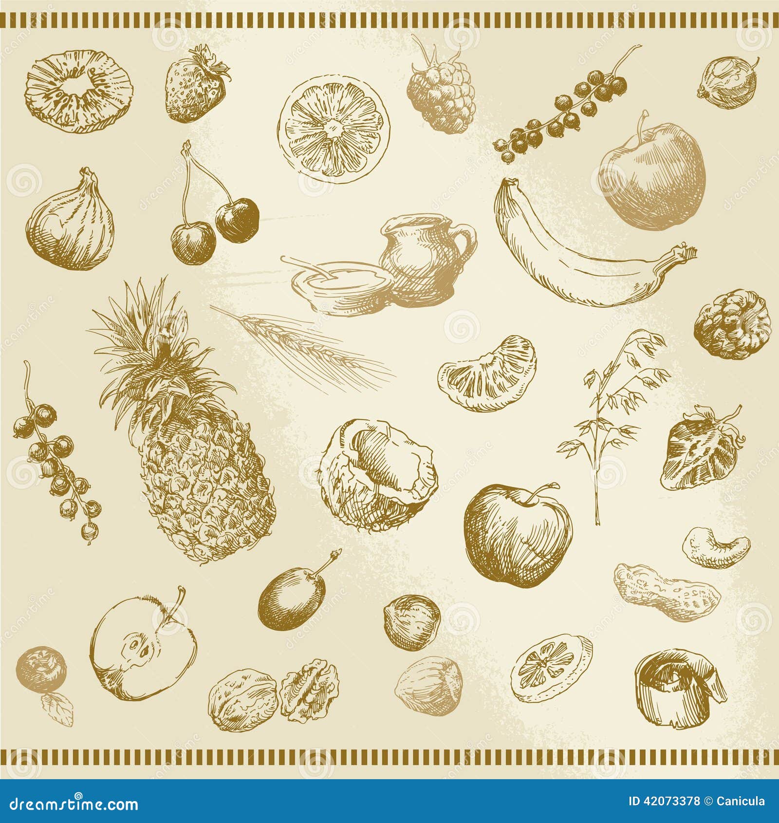 Hand drawn fruit stock vector. Illustration of breakfast - 42073378