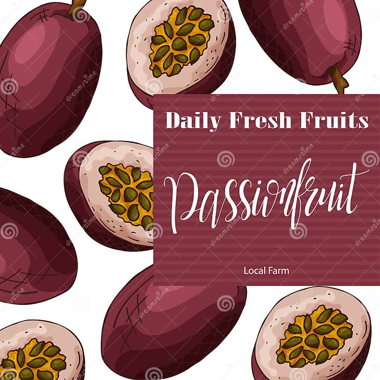 Hand Drawn Fruit Illustration Sweet Passionfruit Element Vector