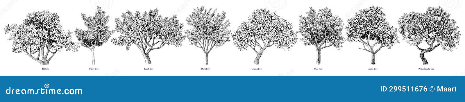 Hand Drawn Fruit Trees Collection Stock Illustration - Illustration of ...