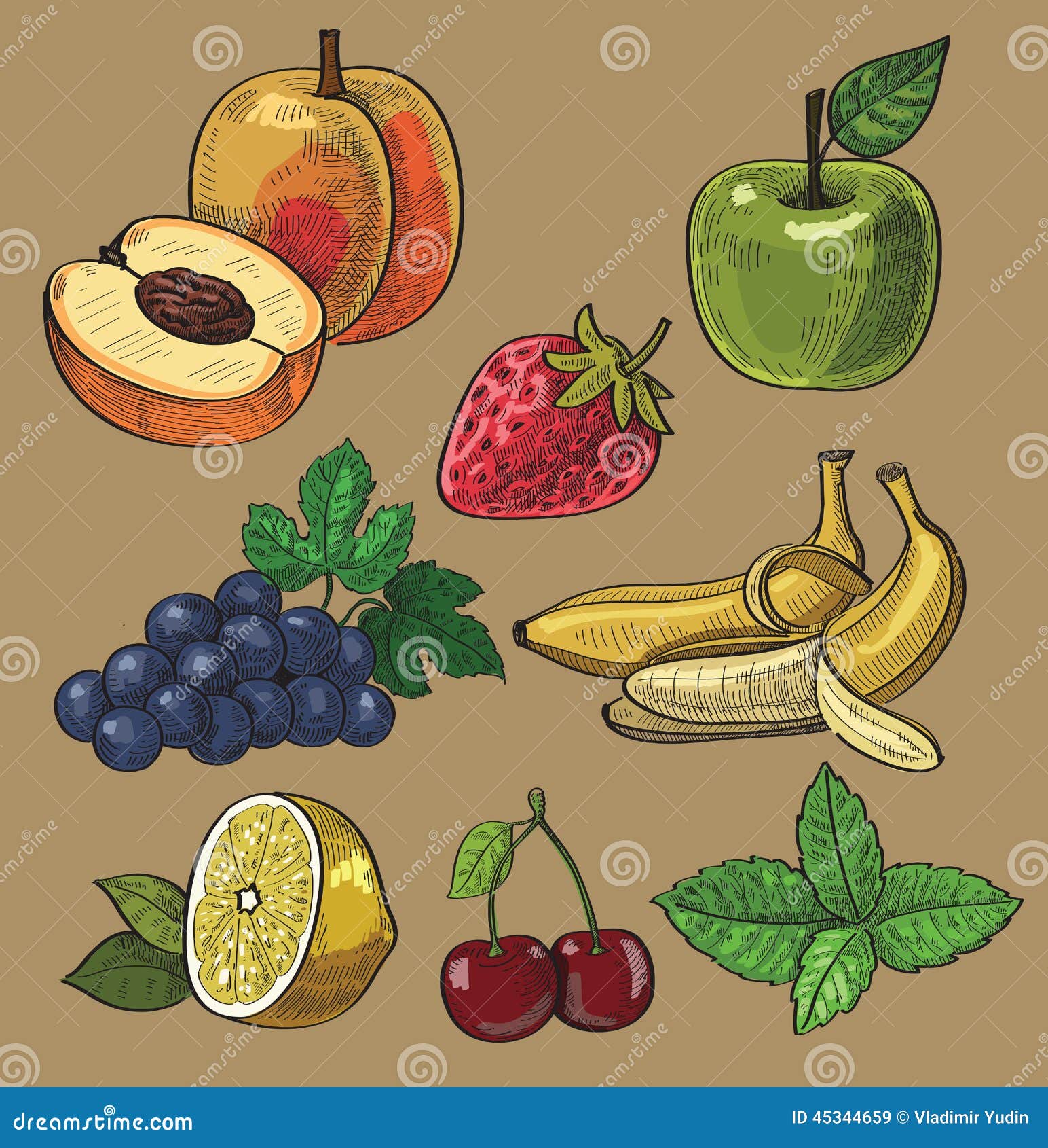 Hand drawn fruit stock vector. Illustration of green - 45344659