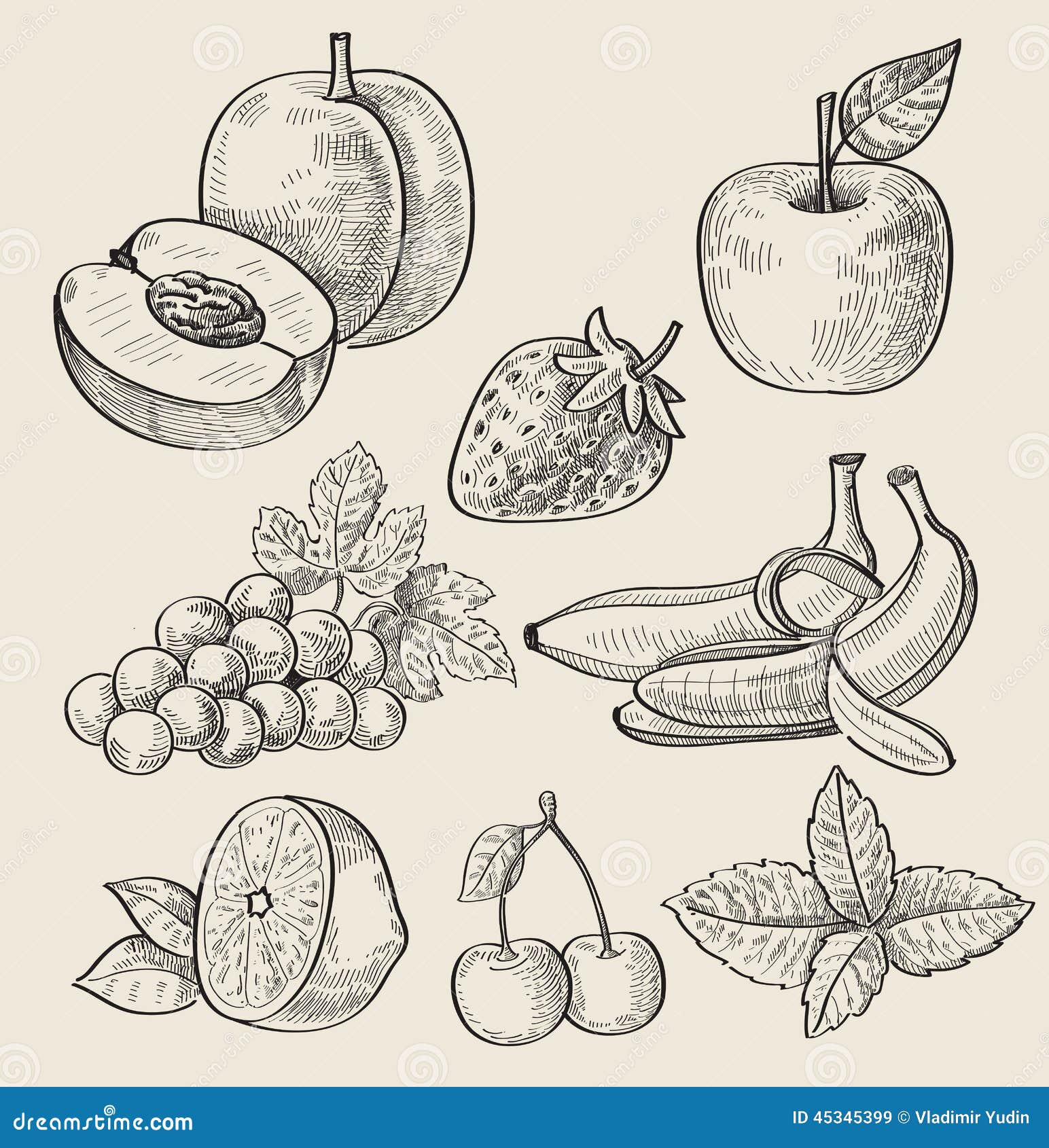 Hand drawn fruit stock vector. Illustration of grape - 45345399