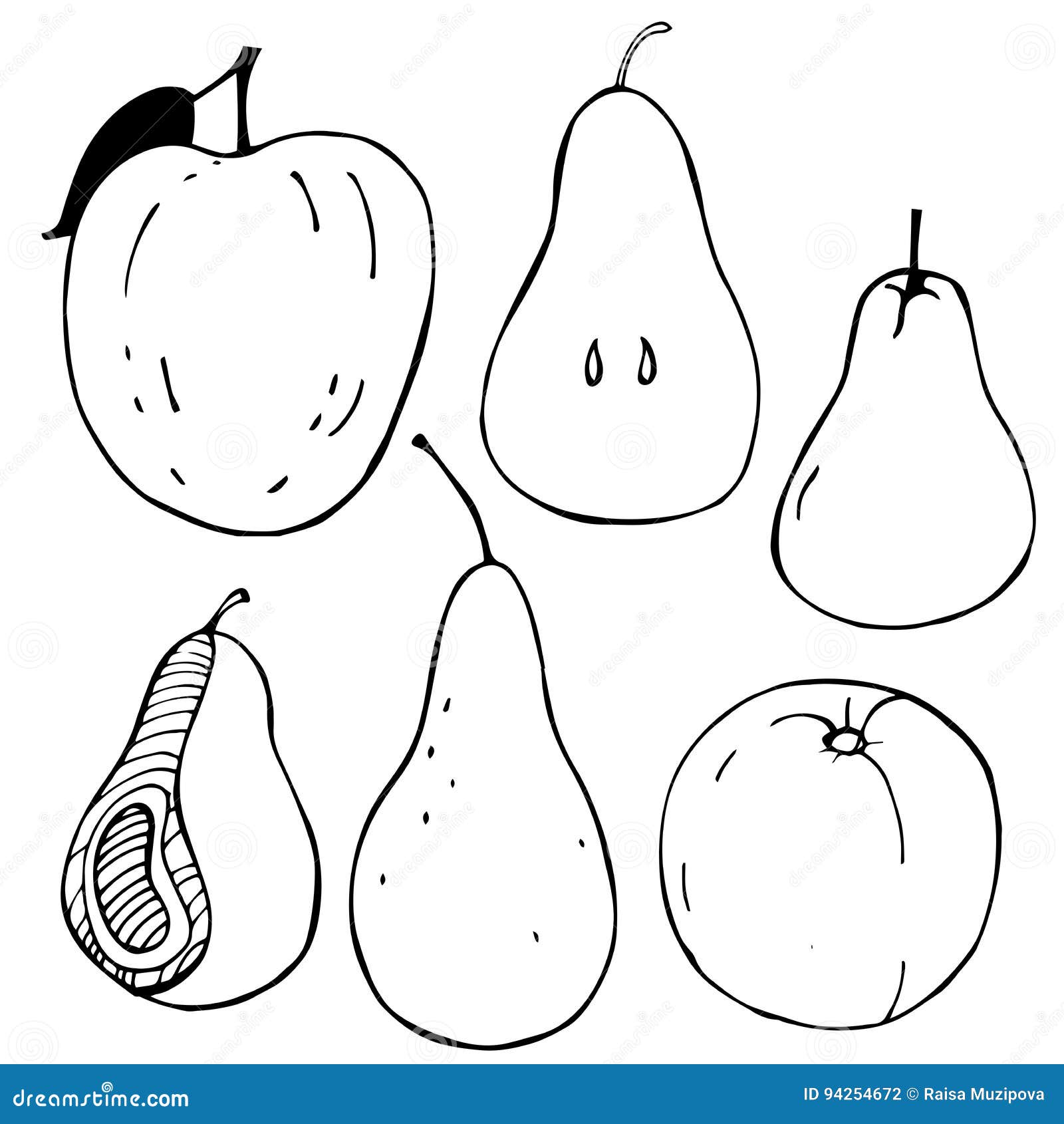 Hand-drawn Fruits. Apple and Pear. Vector Illustration. Stock Vector ...