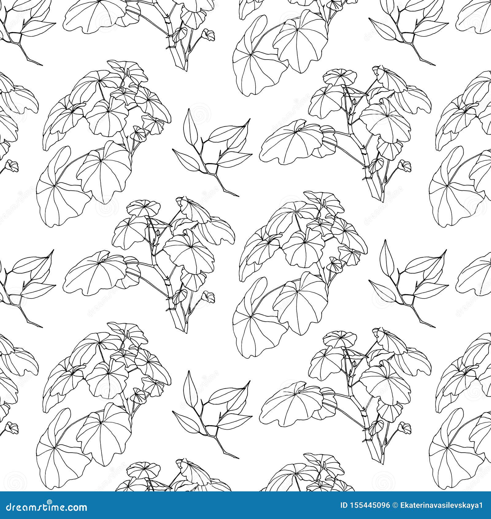 Hand Drawn Geranium Branches with Leaves Seamless Pattern. Outline Wild ...