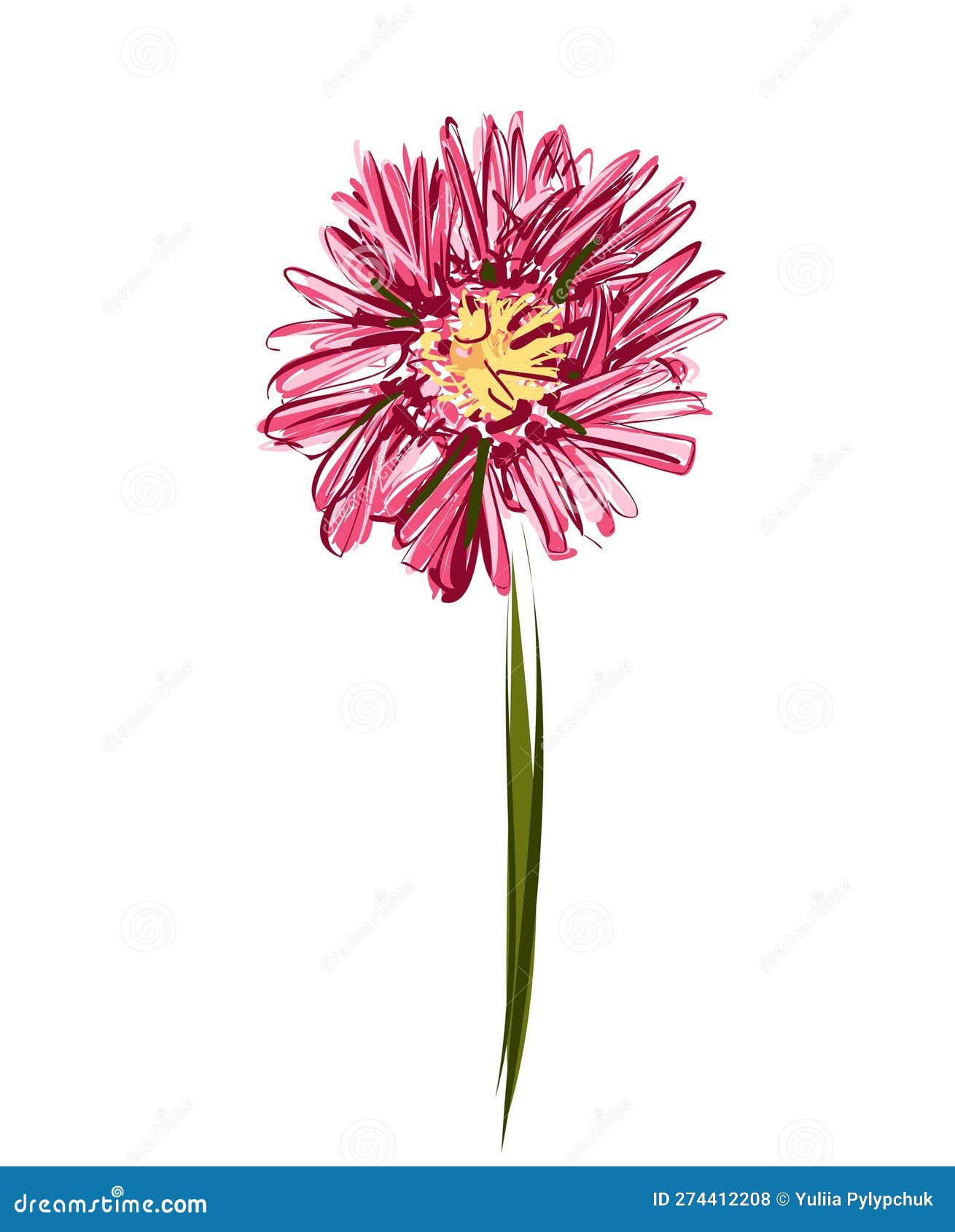 Hand Drawn Gerbera. Flower. Vector Botany Illustration Stock Vector ...