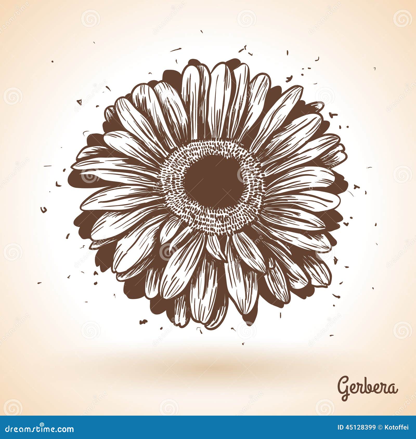 Hand drawn gerbera flower. stock vector. Illustration of backdrop ...
