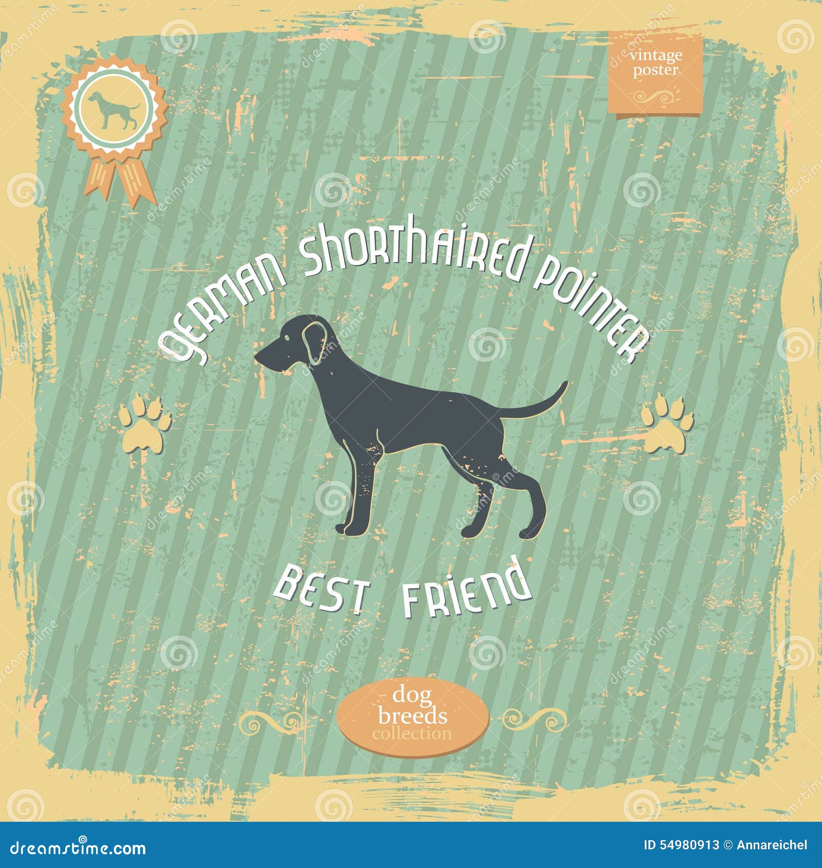 German Shorthaired Pointer Evolution Word Vector Illustration ...