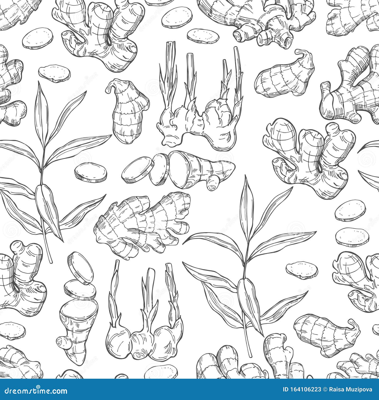 Hand Drawn Ginger, Root, Leaves. Vector Seamless Pattern Stock Vector ...