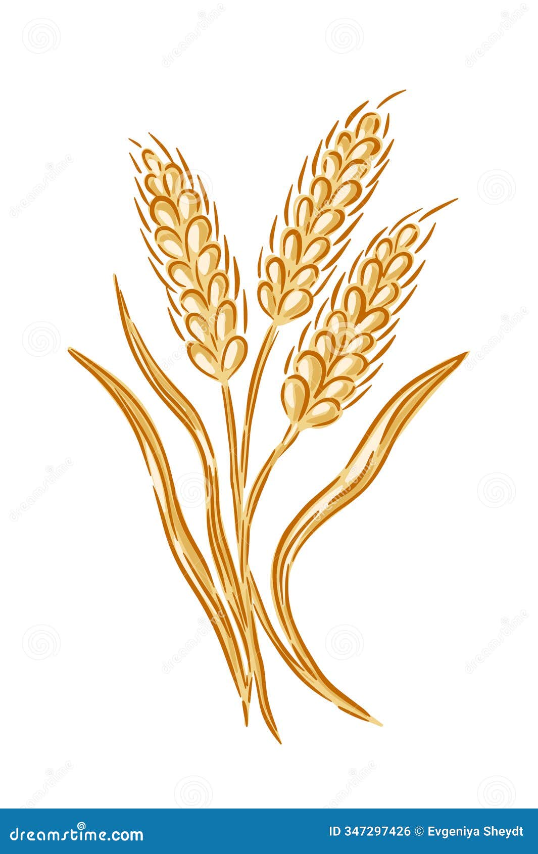Hand Drawn Gold Wheat Ears Vector Illustration Stock Illustration ...