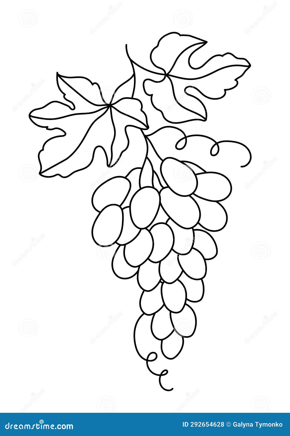 Hand Drawn Grape Simple Flat Bunch Fruit Outline For Kids, Element In ...