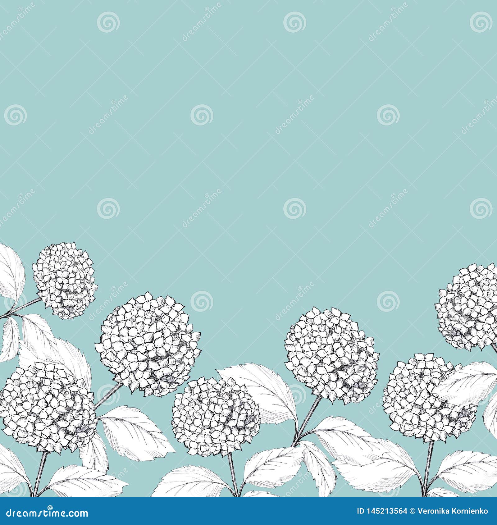Hand Drawn Graphic Hydrangea Background.Template for Wedding or ...